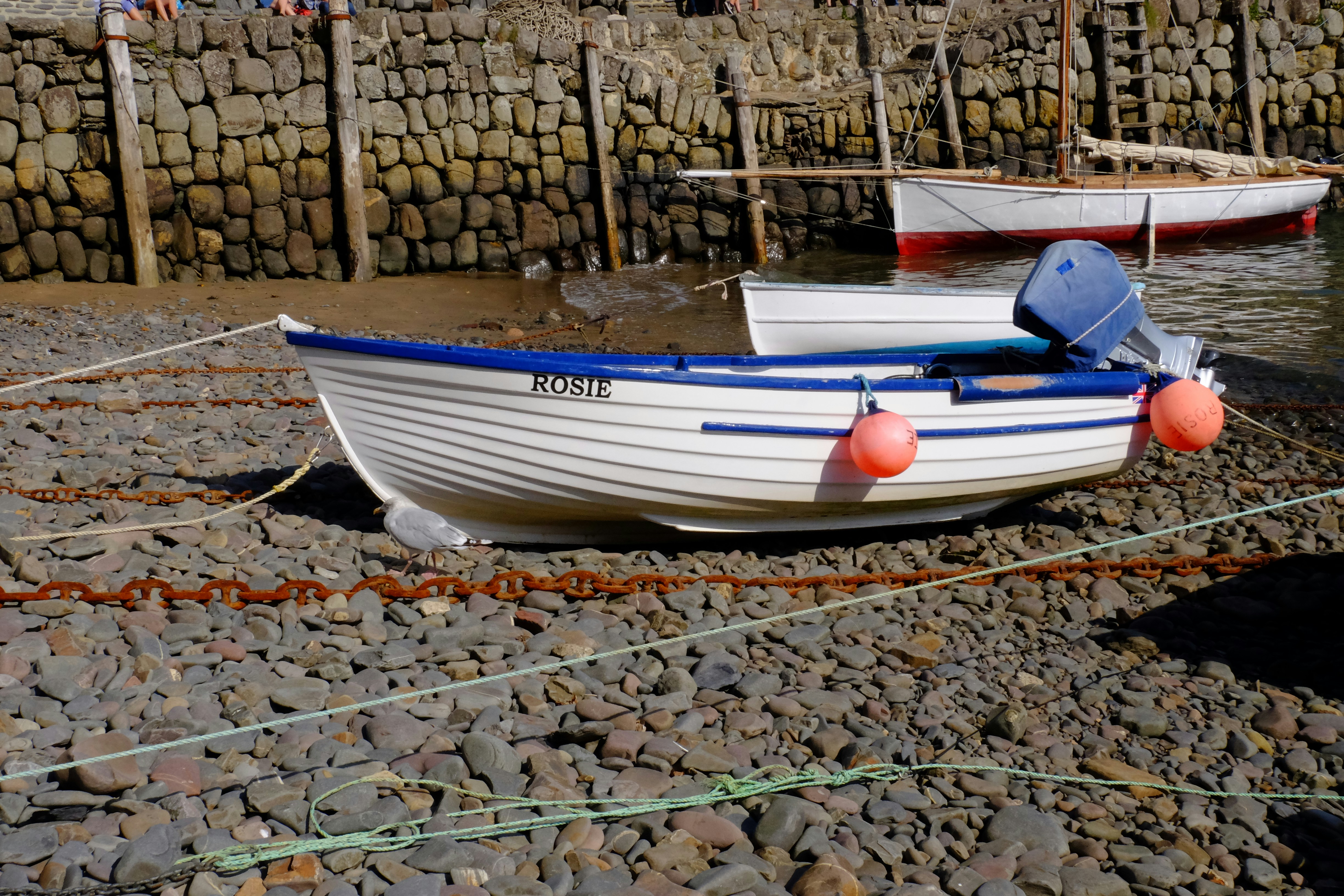 Foto Barcos en la orilla – Imagen Con los dientes gratis en Unsplash