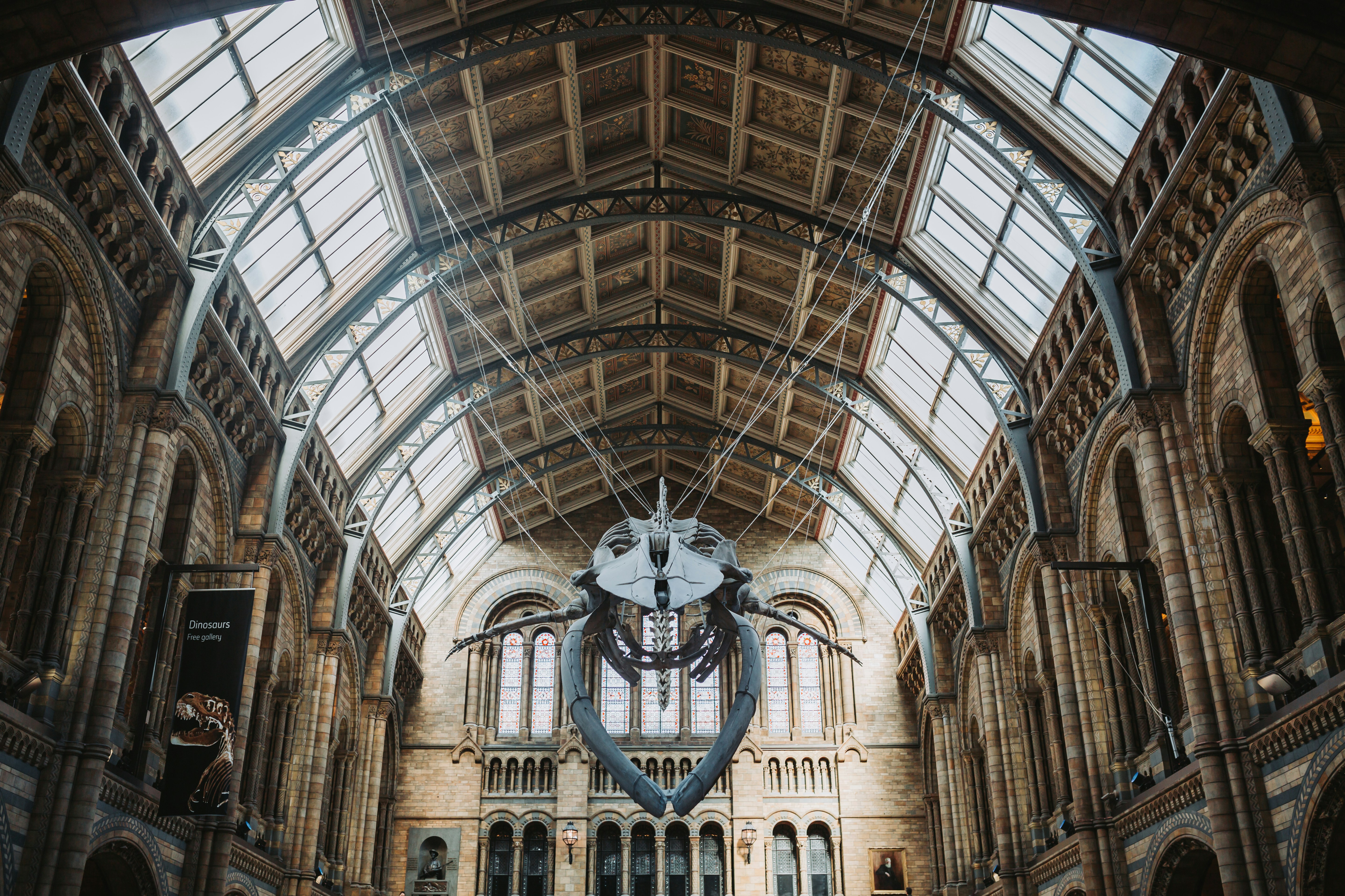A large clock in a large building photo – Free Natural history museum ...