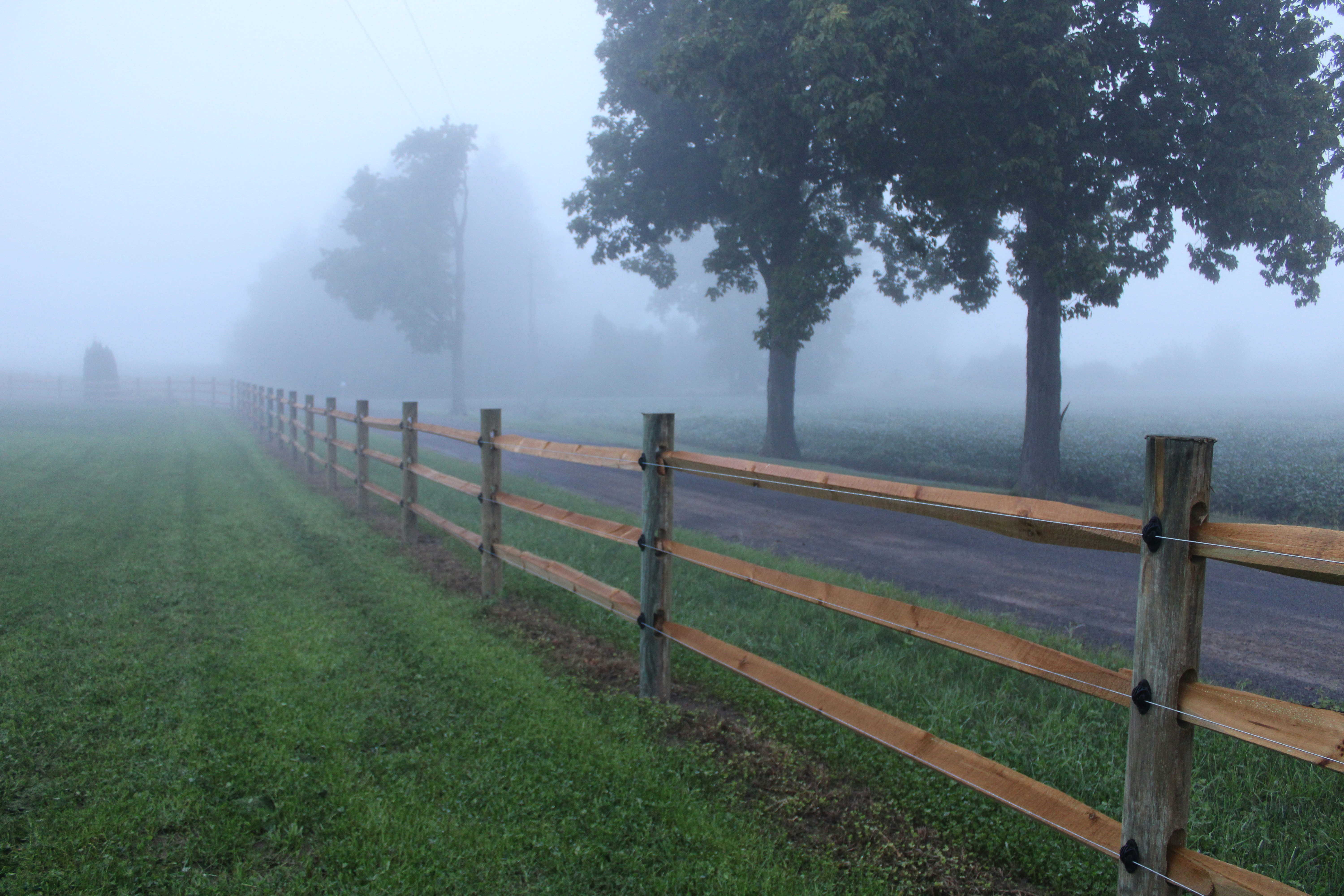 A fenced in field with a tree and fog photo – Free Fog Image on Unsplash