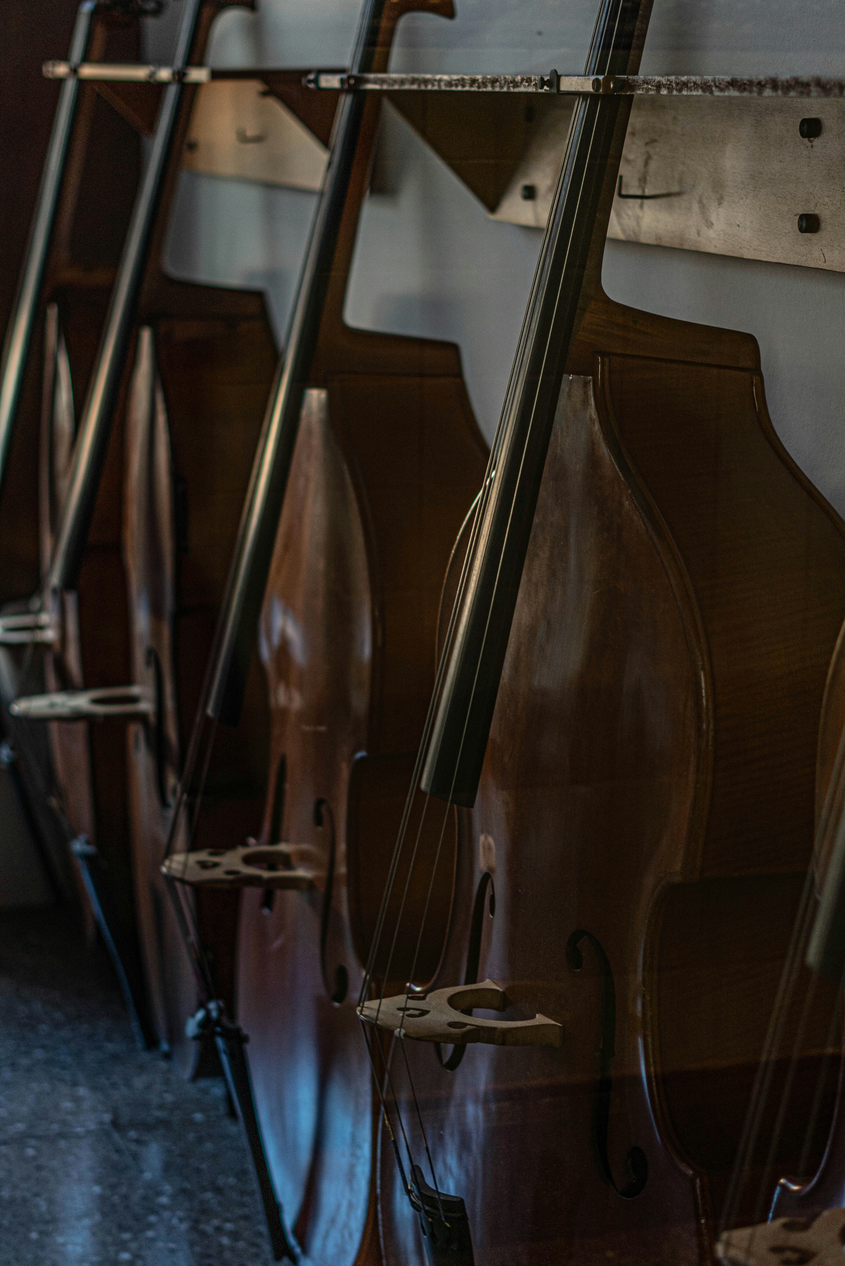 Stringed Silence: A Row of Cello Sides in Soft Light