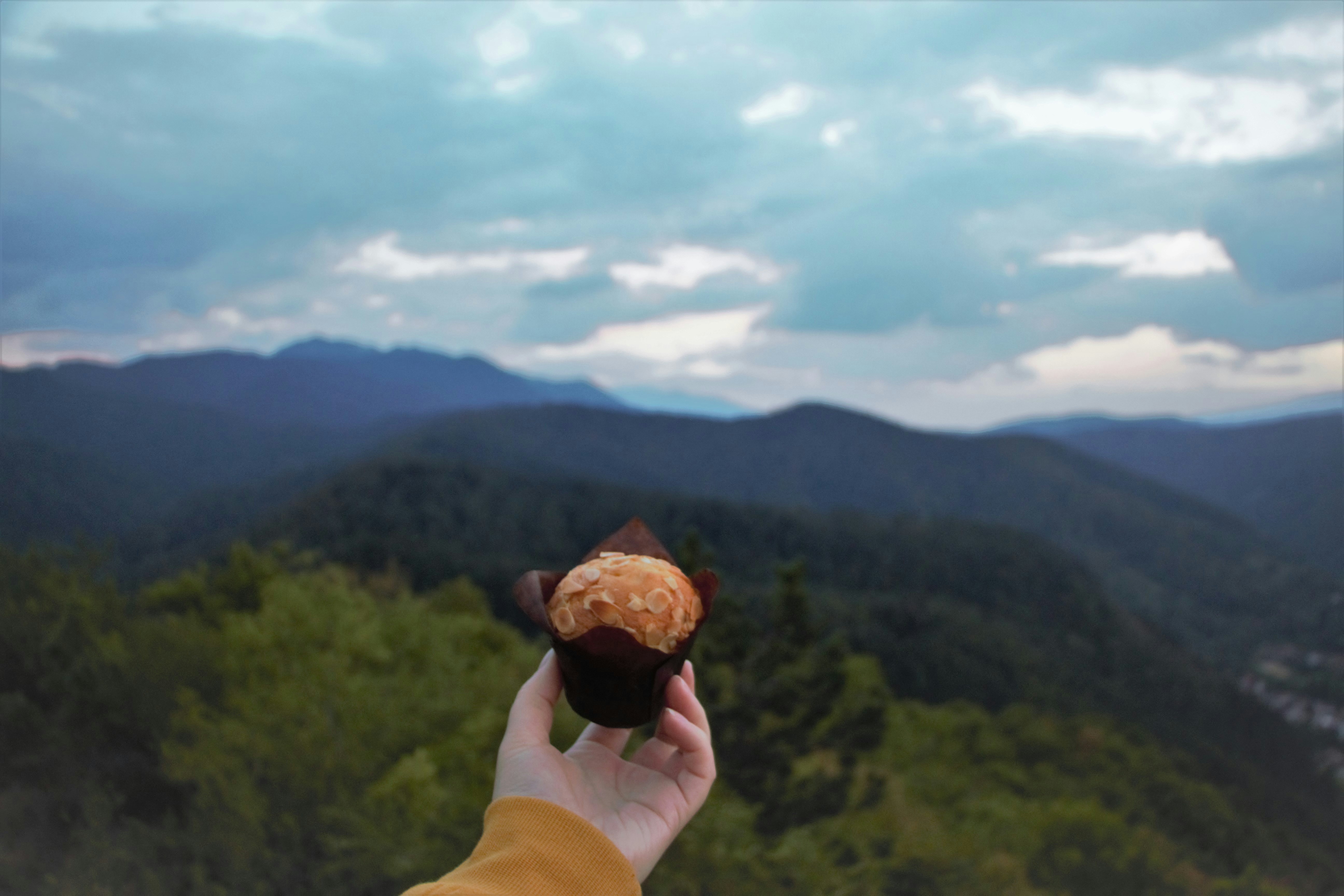 Lilia Negura (@lilyparis) | Komunitas Foto Unsplash