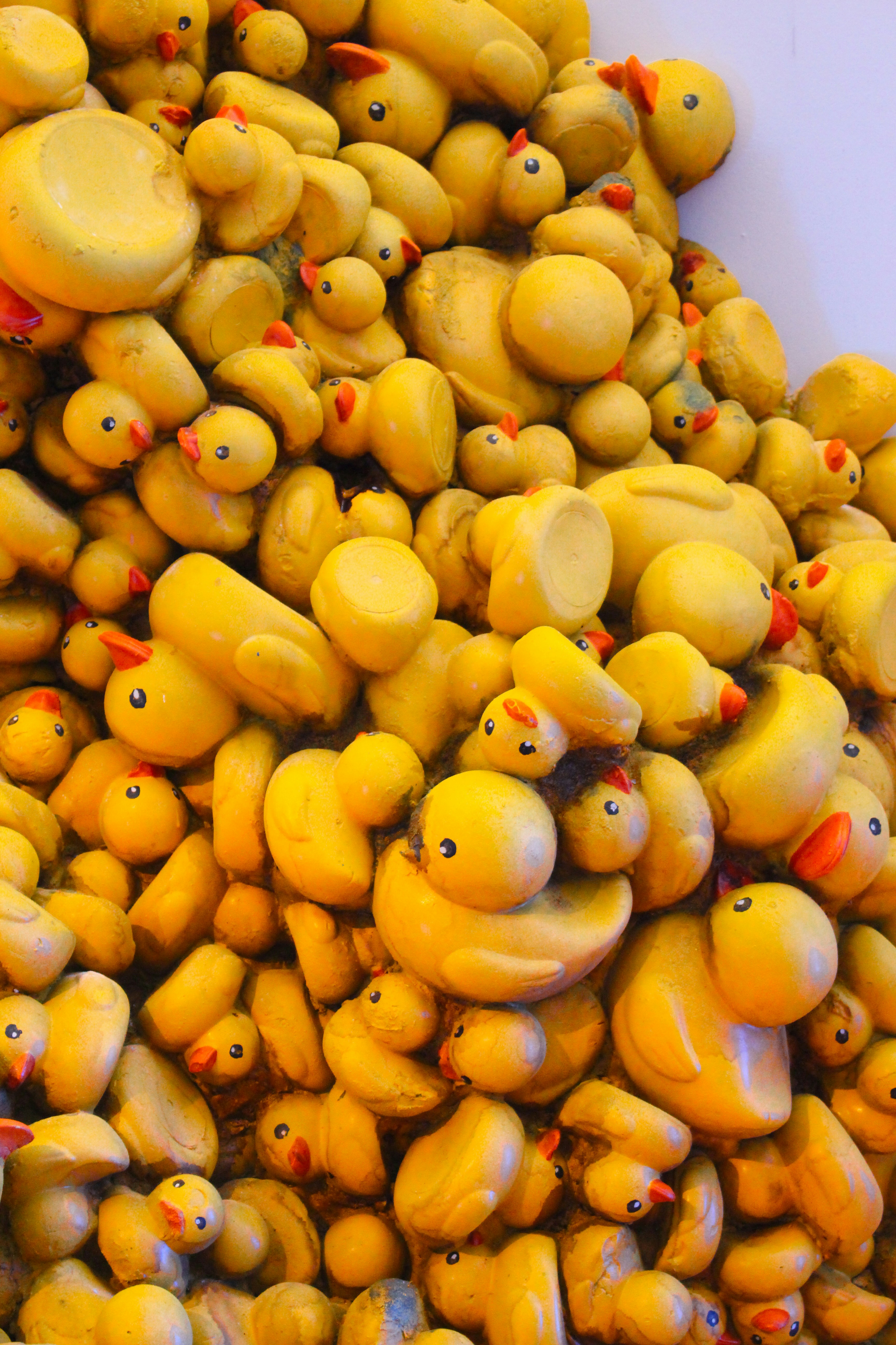 A pile of yellow rubber ducks photo – Free Duck toy Image on Unsplash