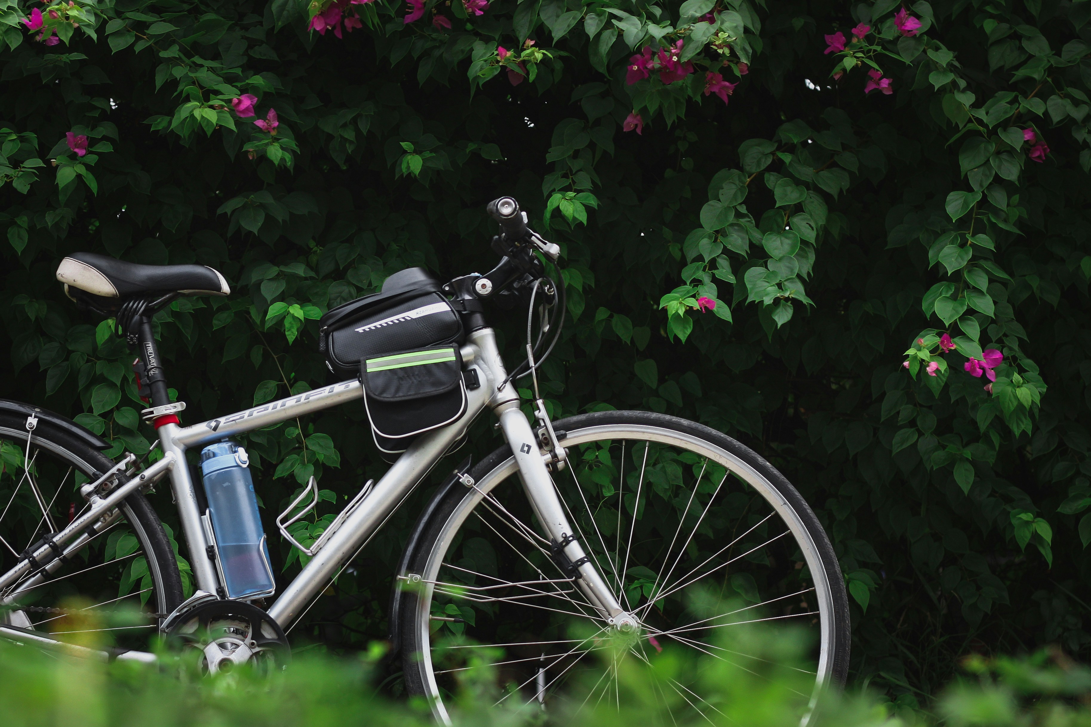A bicycle parked in front of a bush photo – Free Bicycle Image on Unsplash