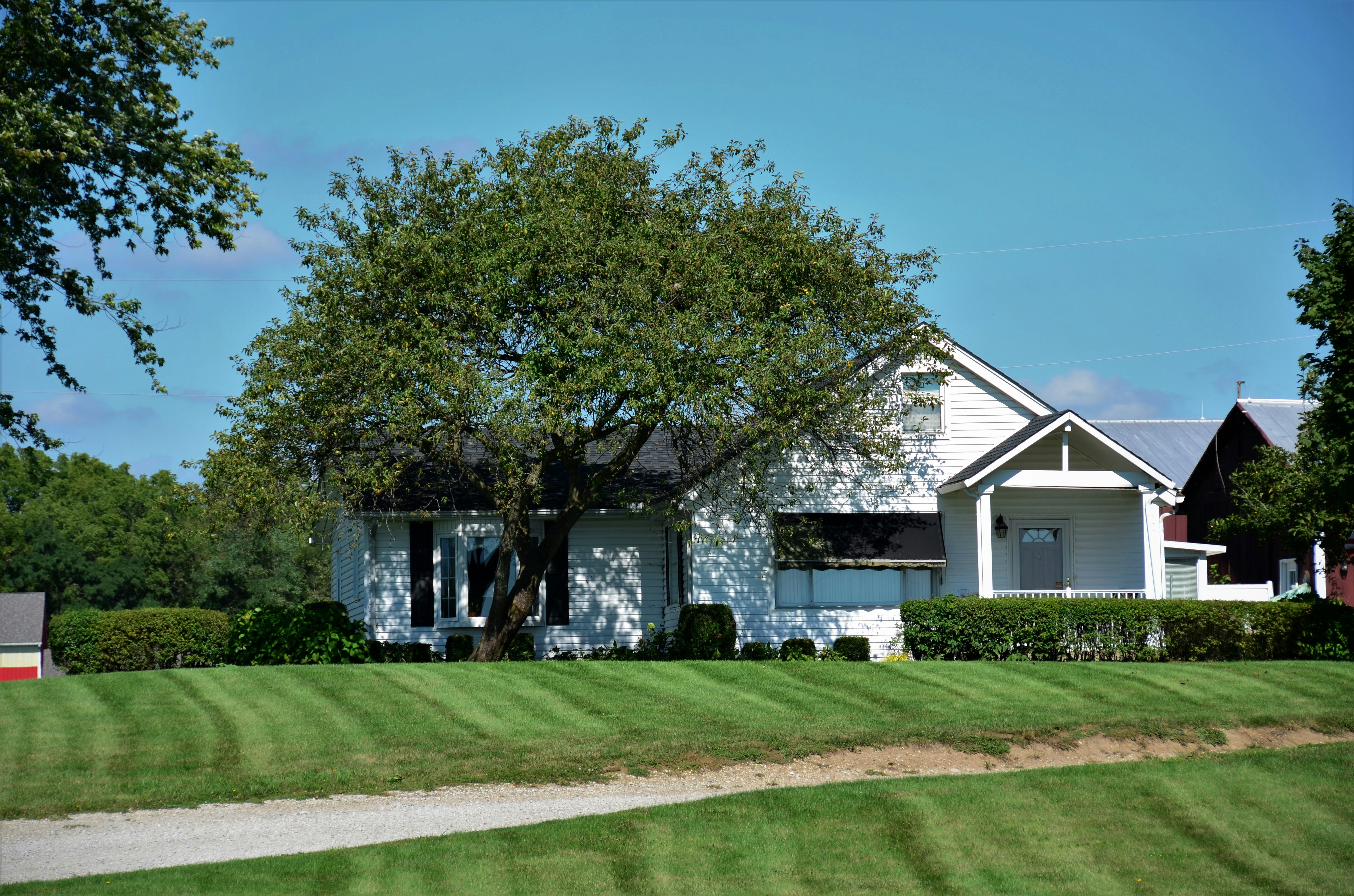 A house with a large tree in front of it photo – Free Grass Image on ...