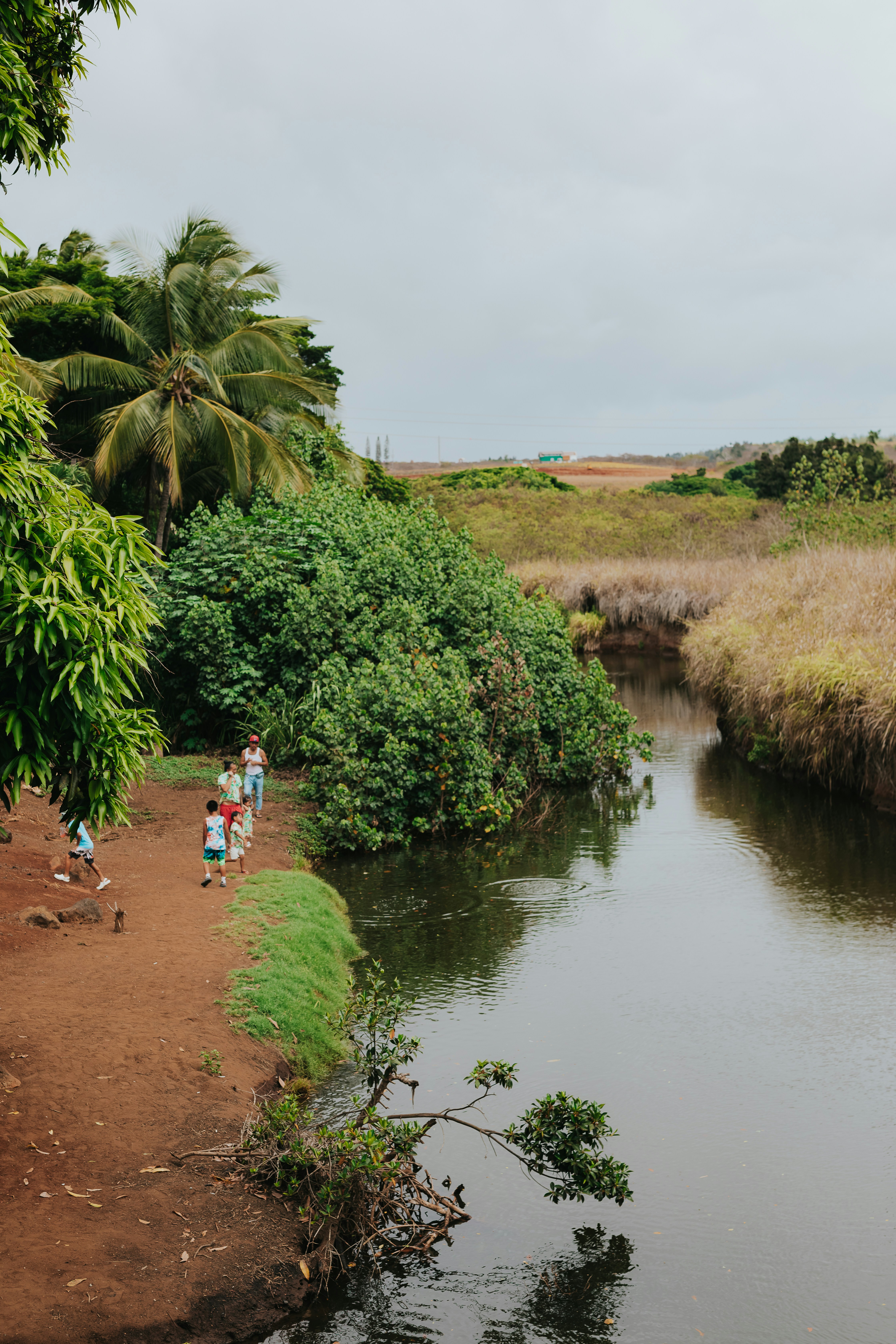 A group of people walking along a river photo – Free Outdoors Image on ...