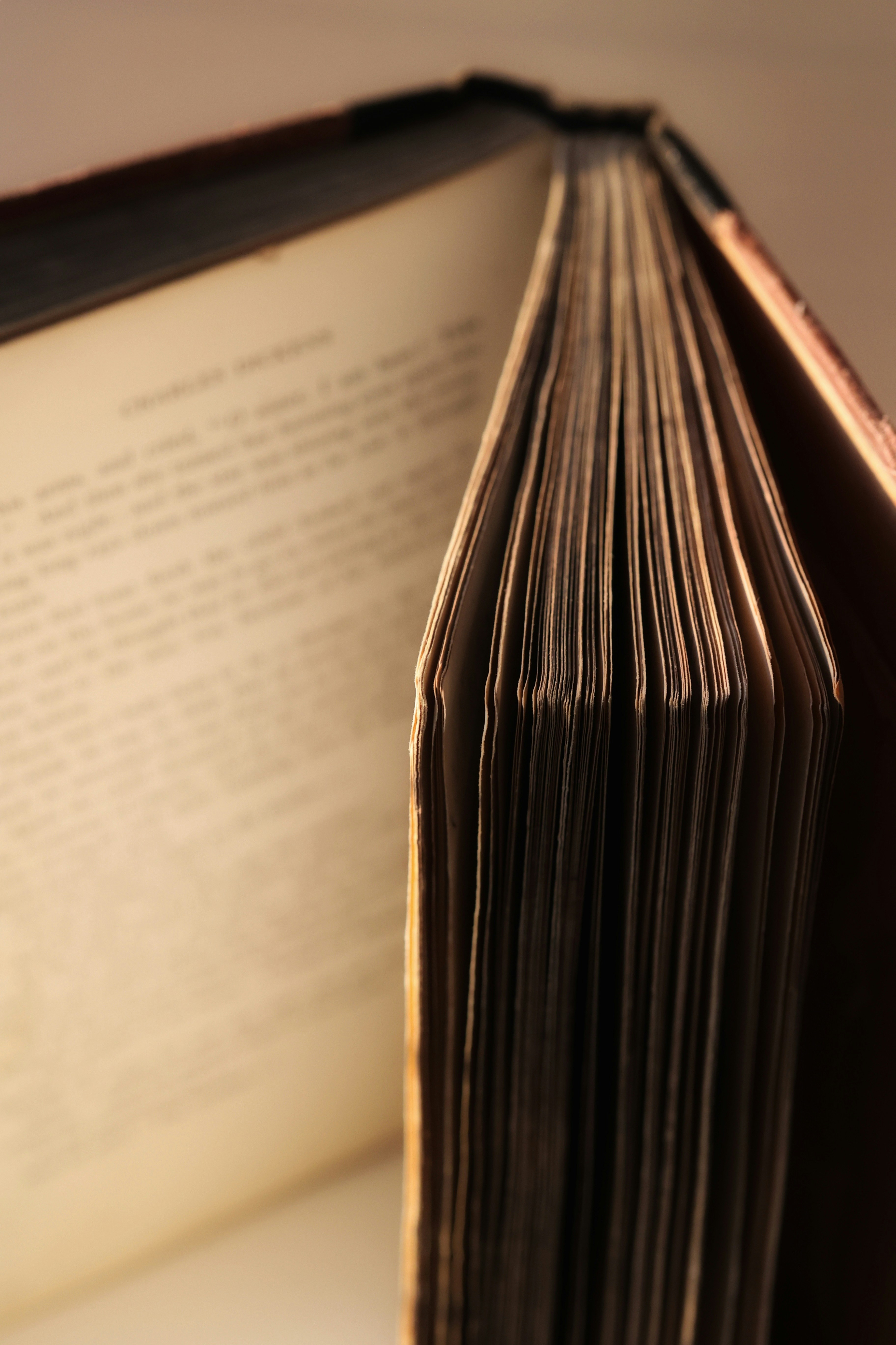 A book open with a page open photo – Free Text Image on Unsplash