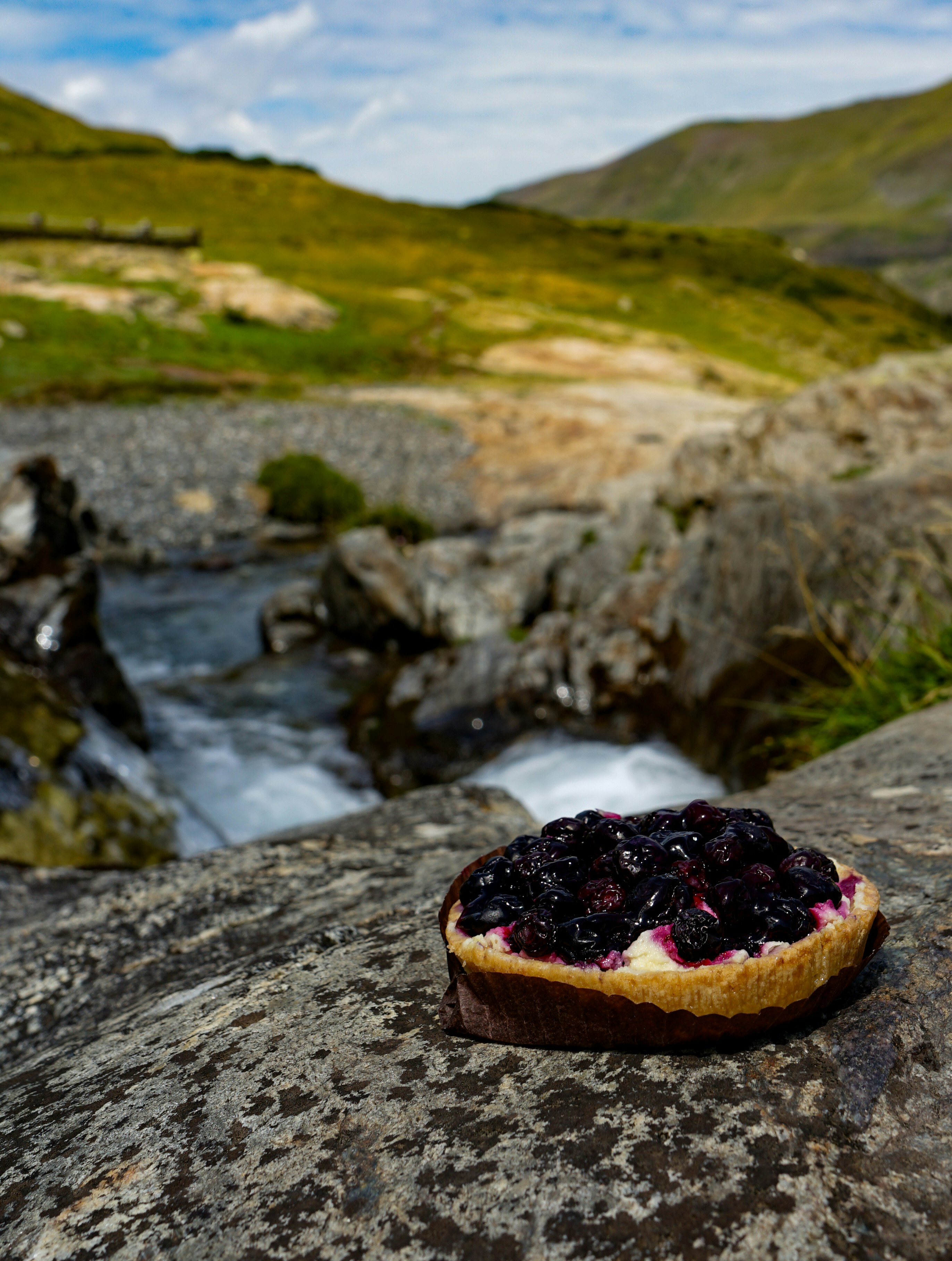 Berry Tart at the Edge: A Lone Treat on the Riverbed