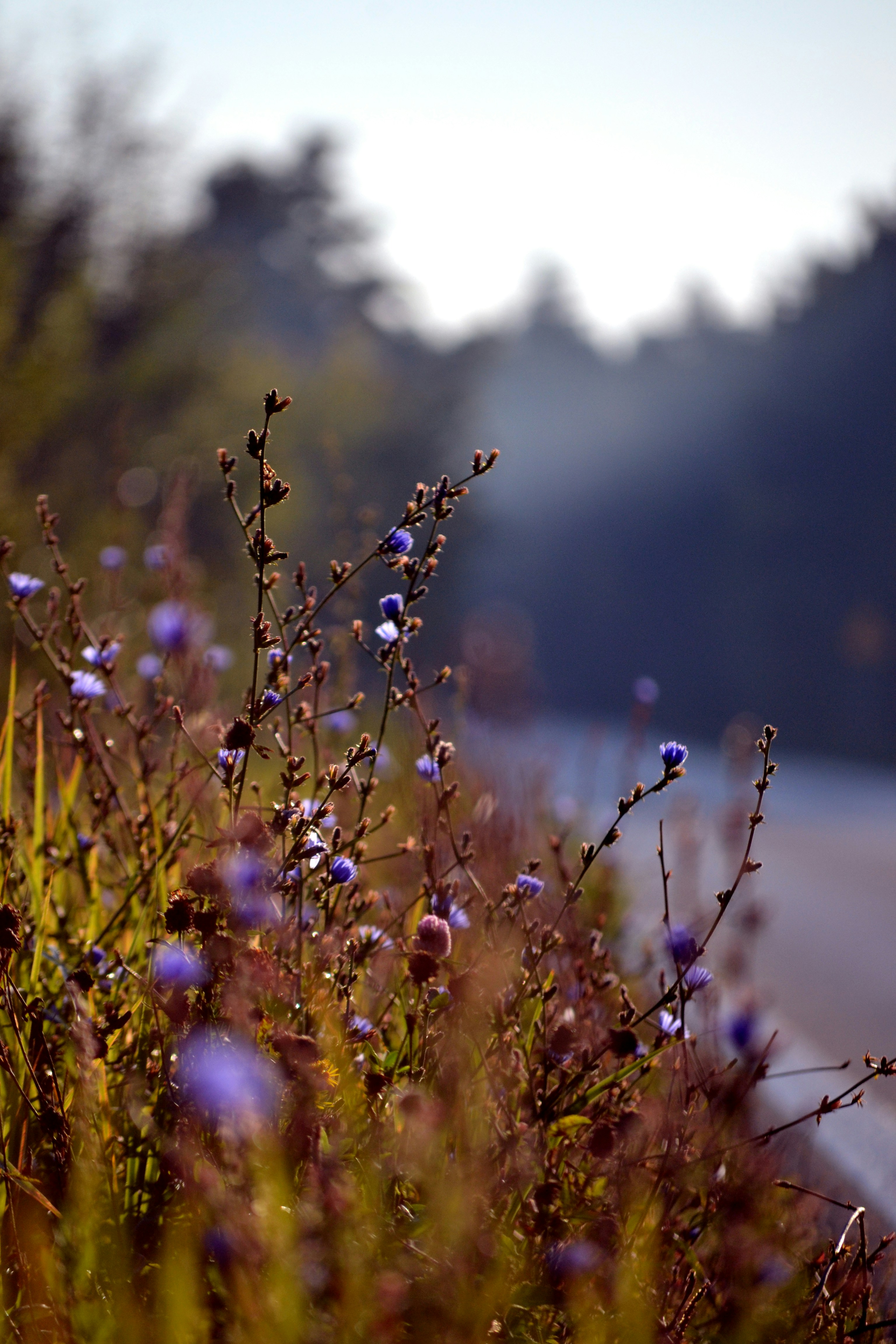 Photo by Annett _99 with Nikon D3100