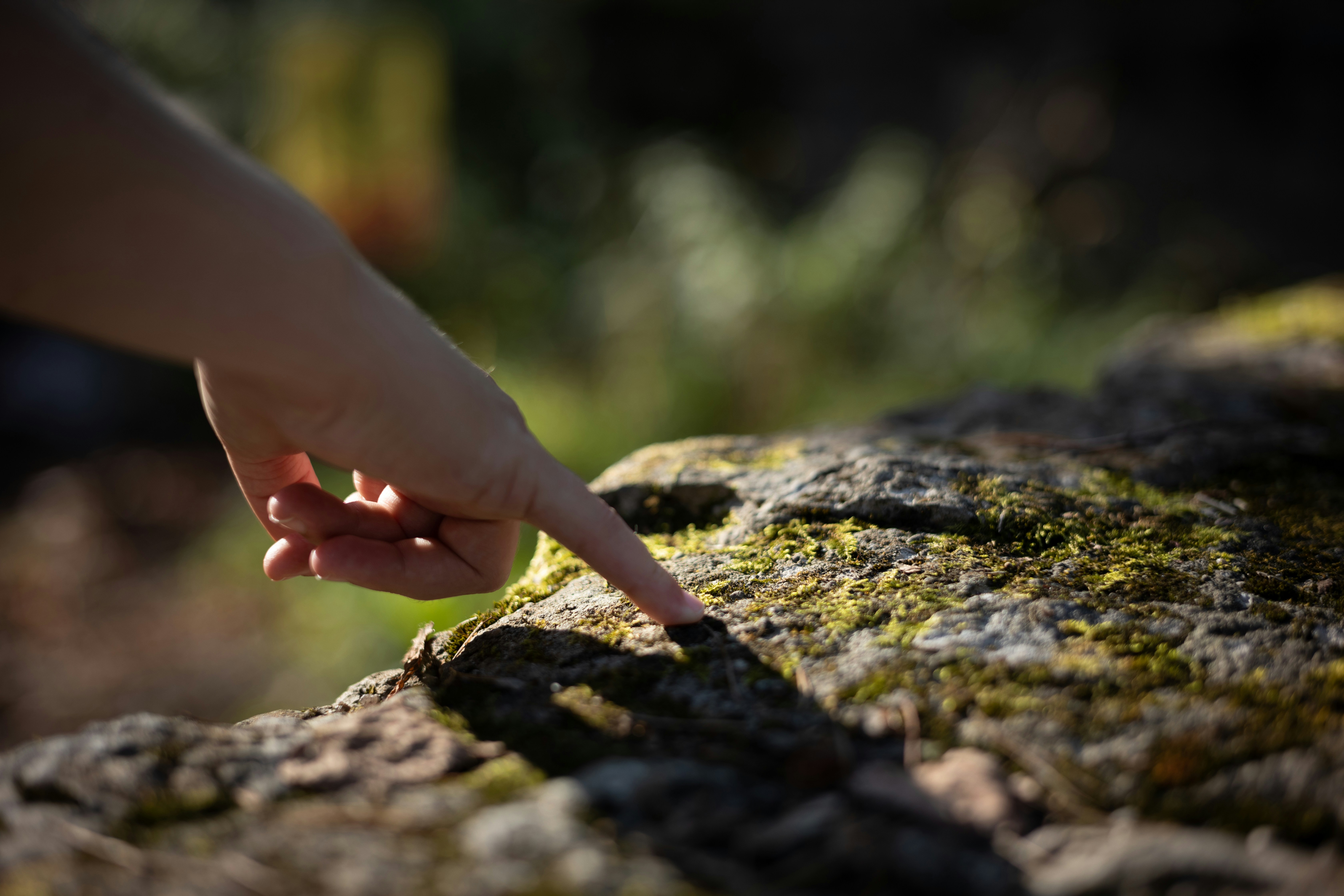A hand holding a stick photo – Free Human Image on Unsplash