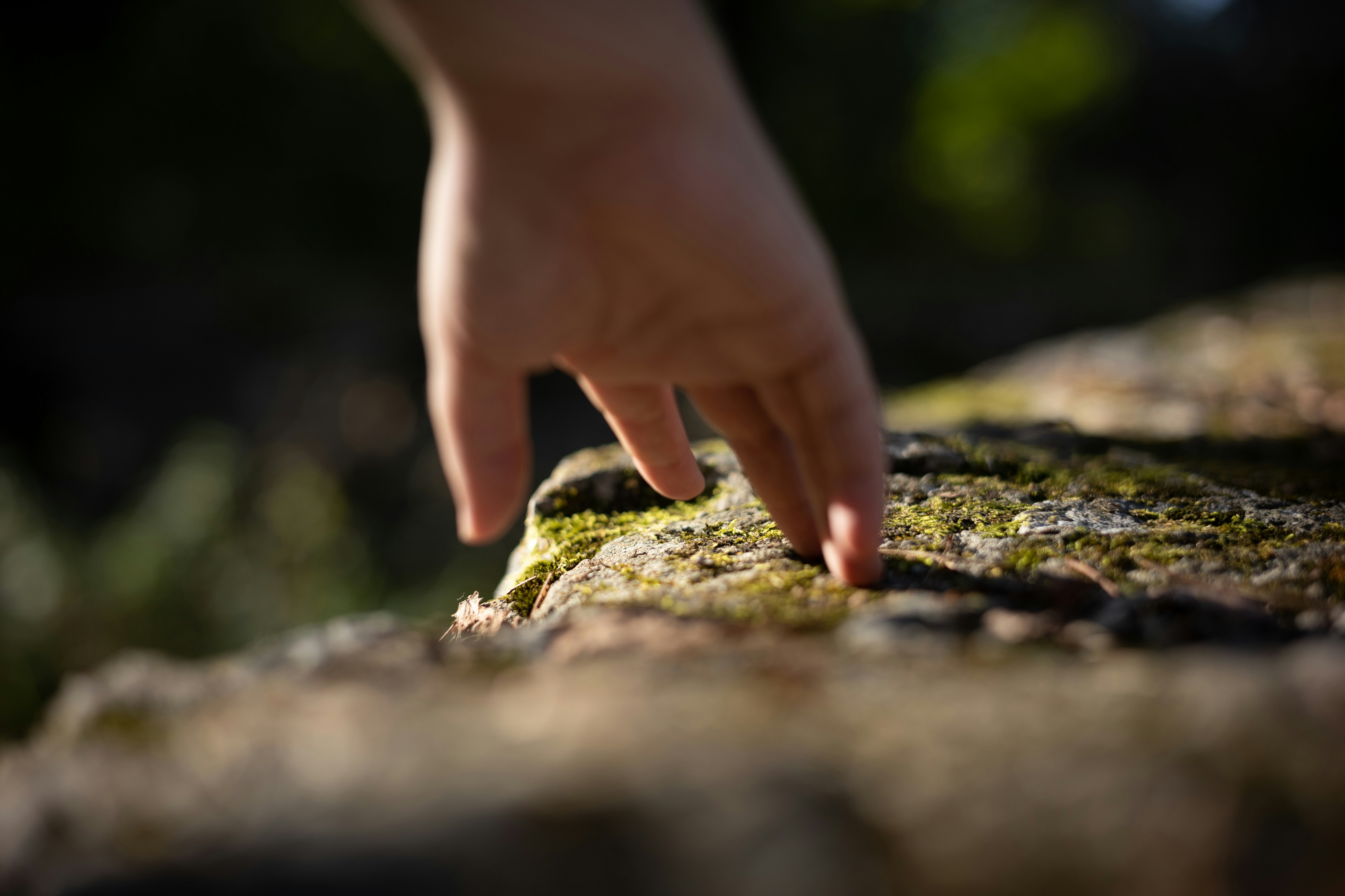 La main d’une personne touchant un rocher photo – Photo Brun Gratuite ...