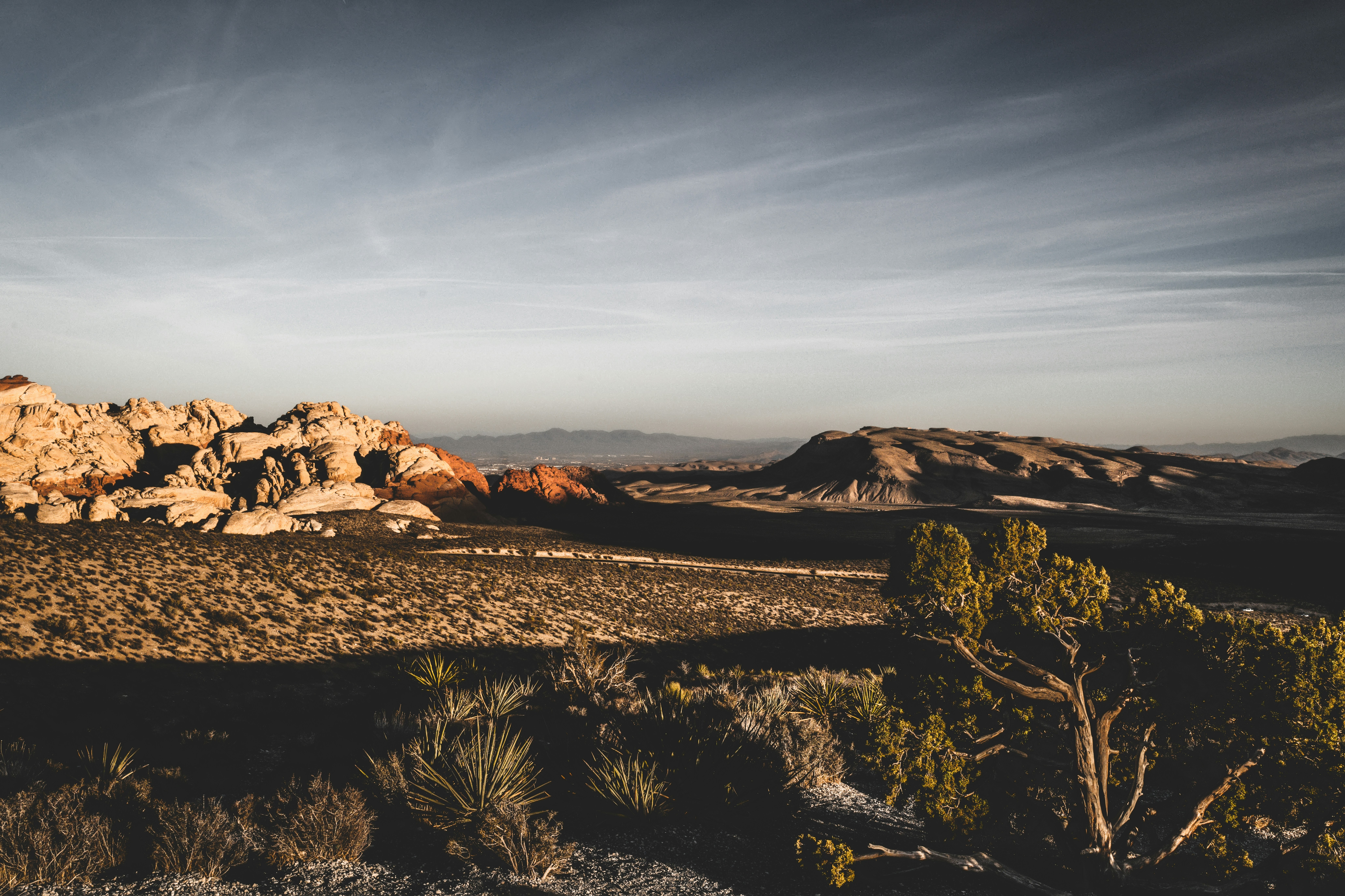 Foto Un paisaje con colinas y árboles – Imagen Nevada gratis en Unsplash