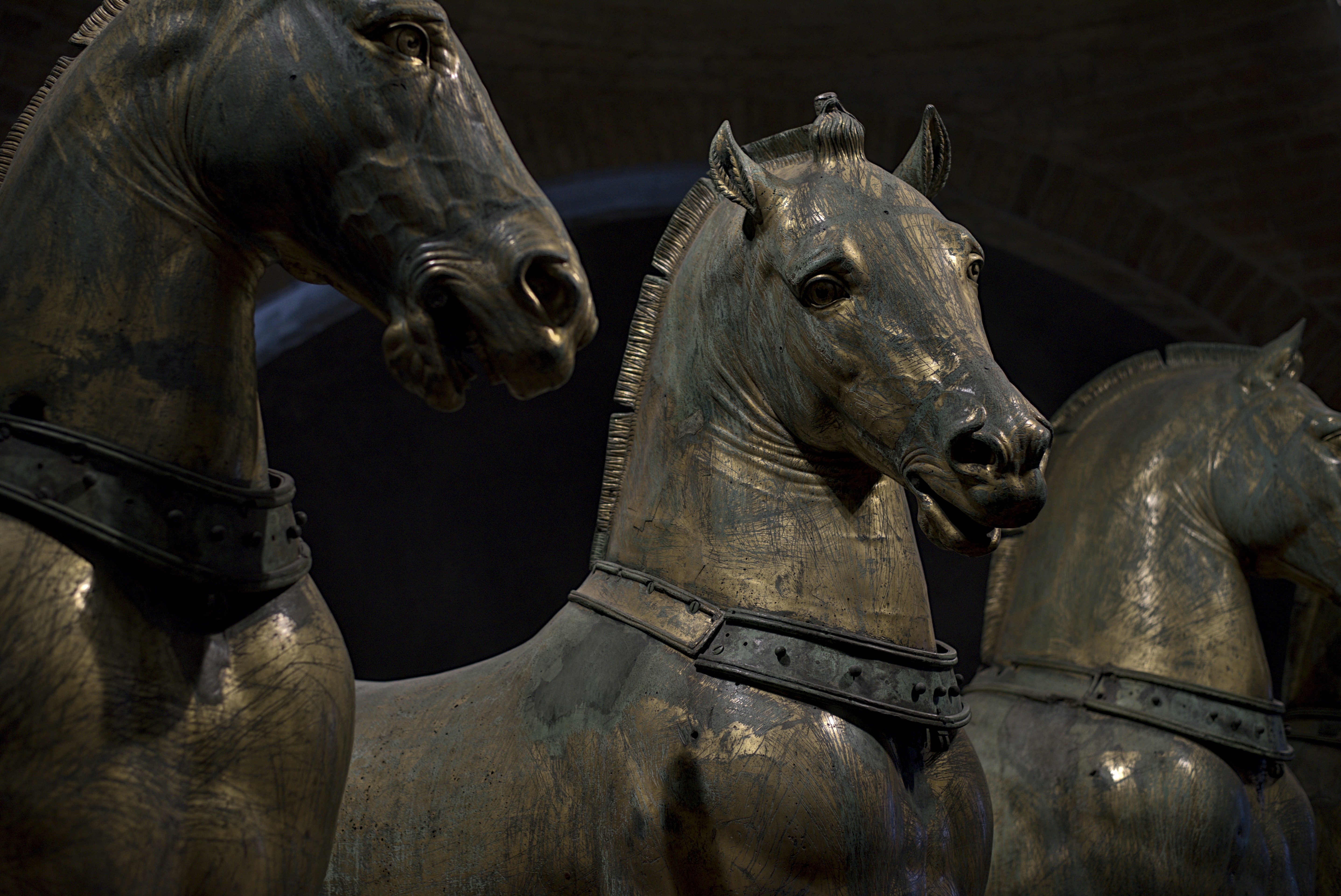 March of the Bronze Stallions