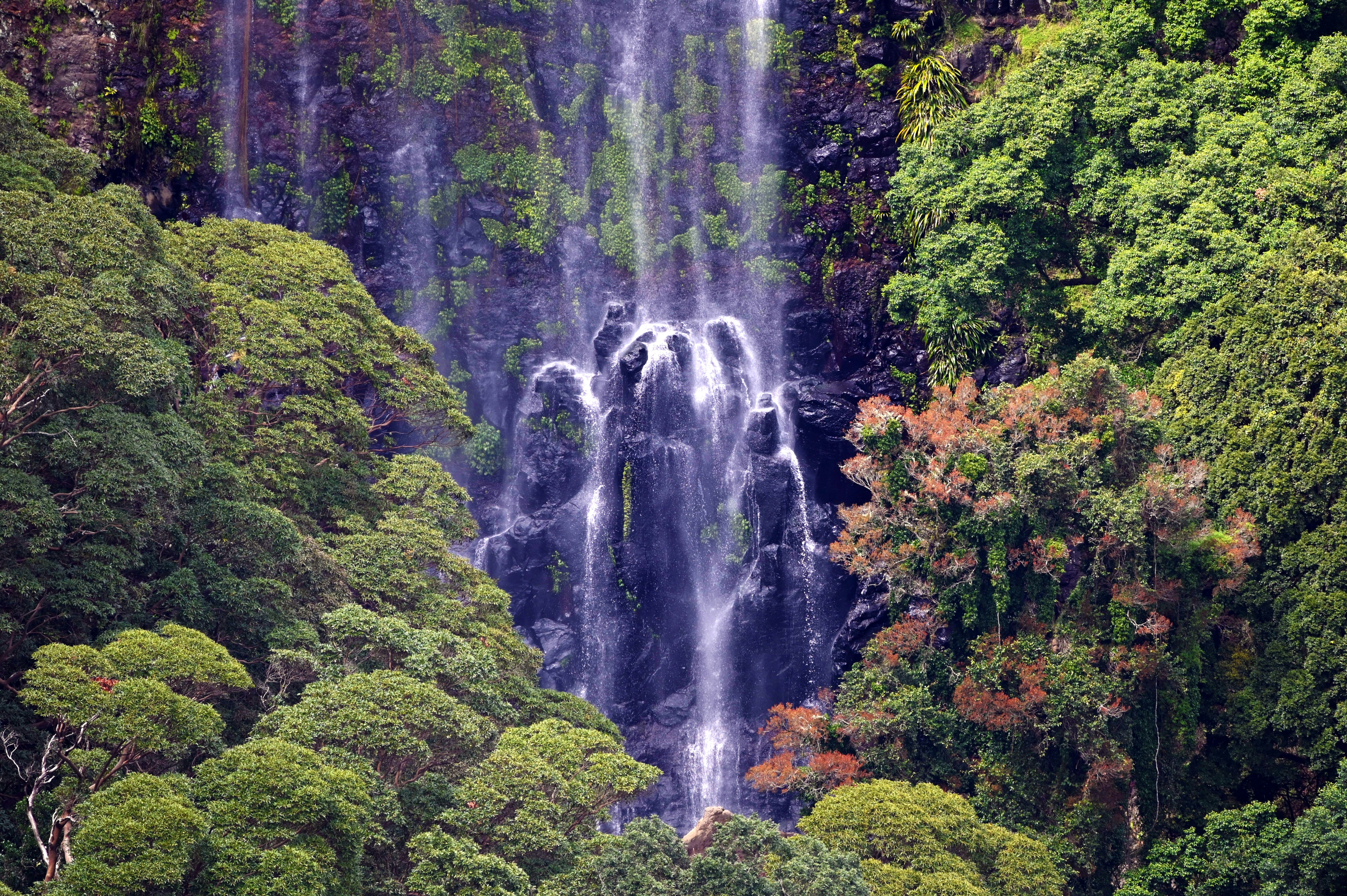A large waterfall surrounded by trees in a forest photo – Free Oreilly ...