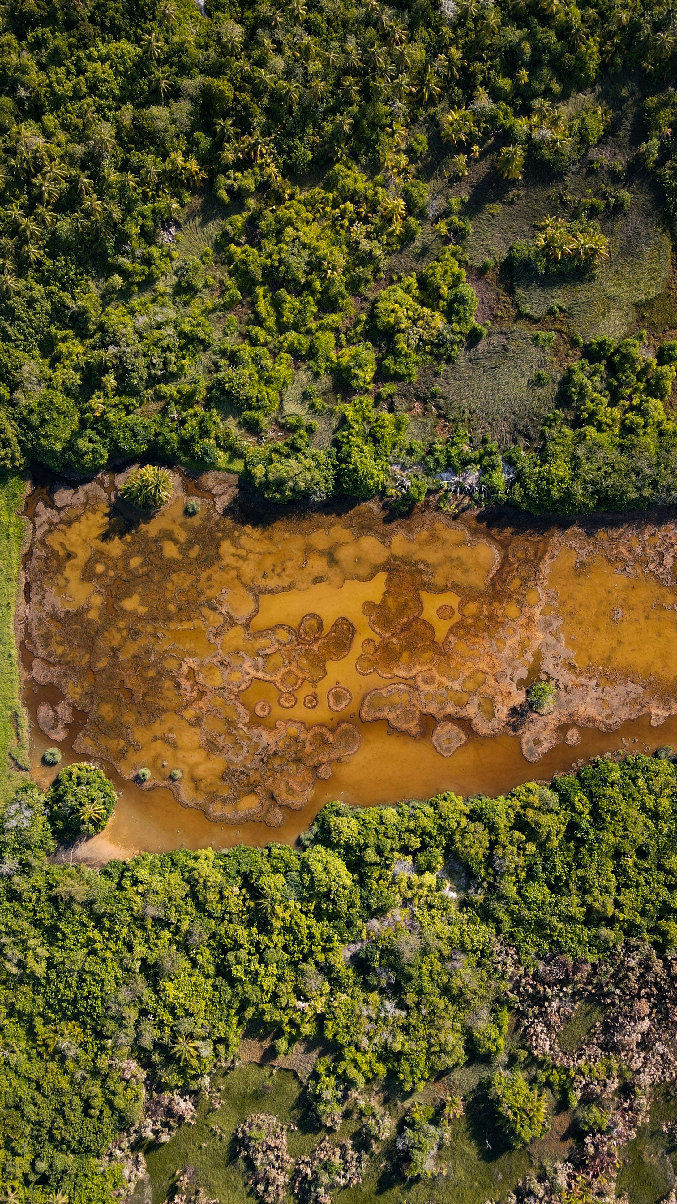 A large area of land with trees photo – Free Maldives Image on Unsplash
