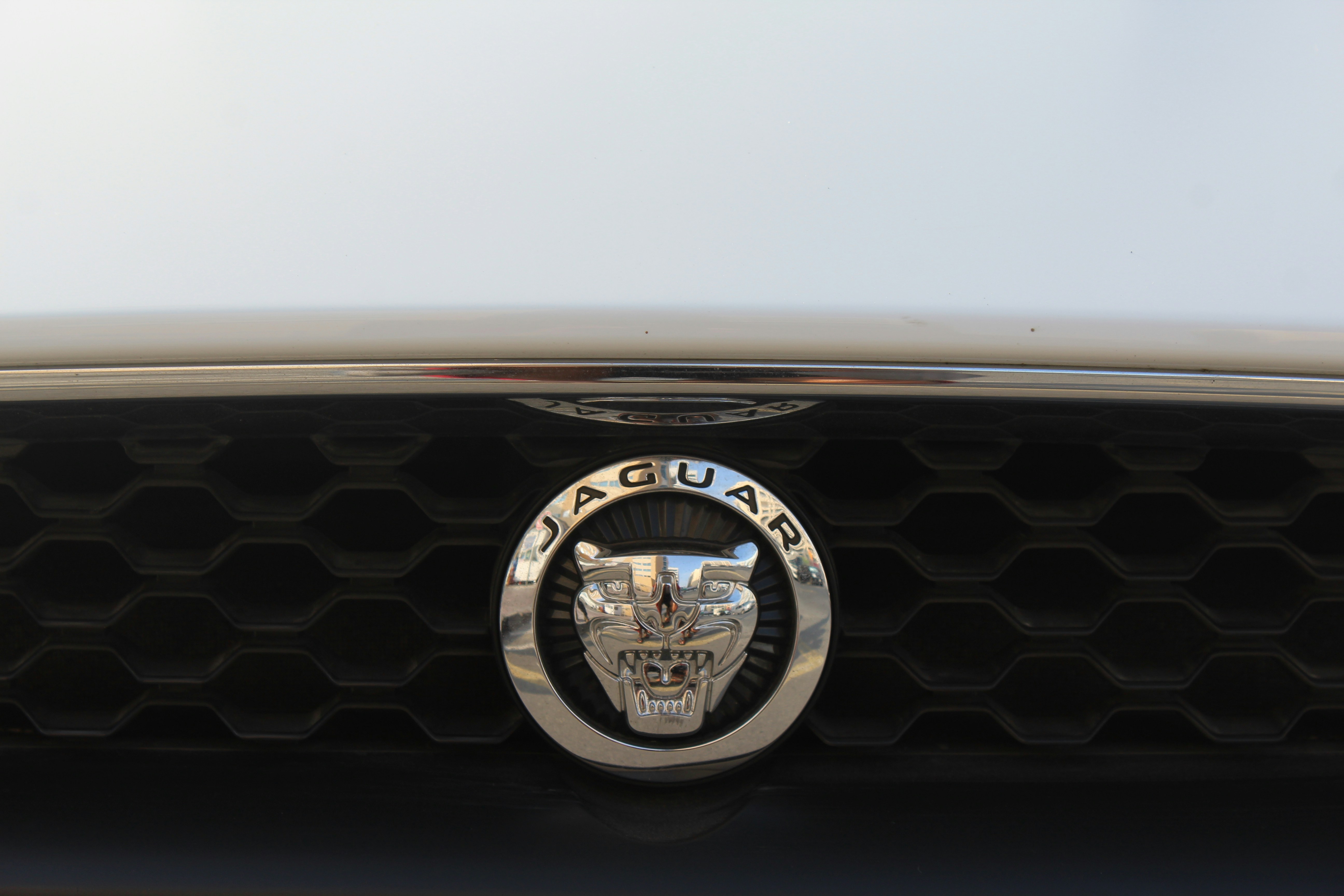 Jaguar Emblem Centerstage on a Dark Honeycomb Grille