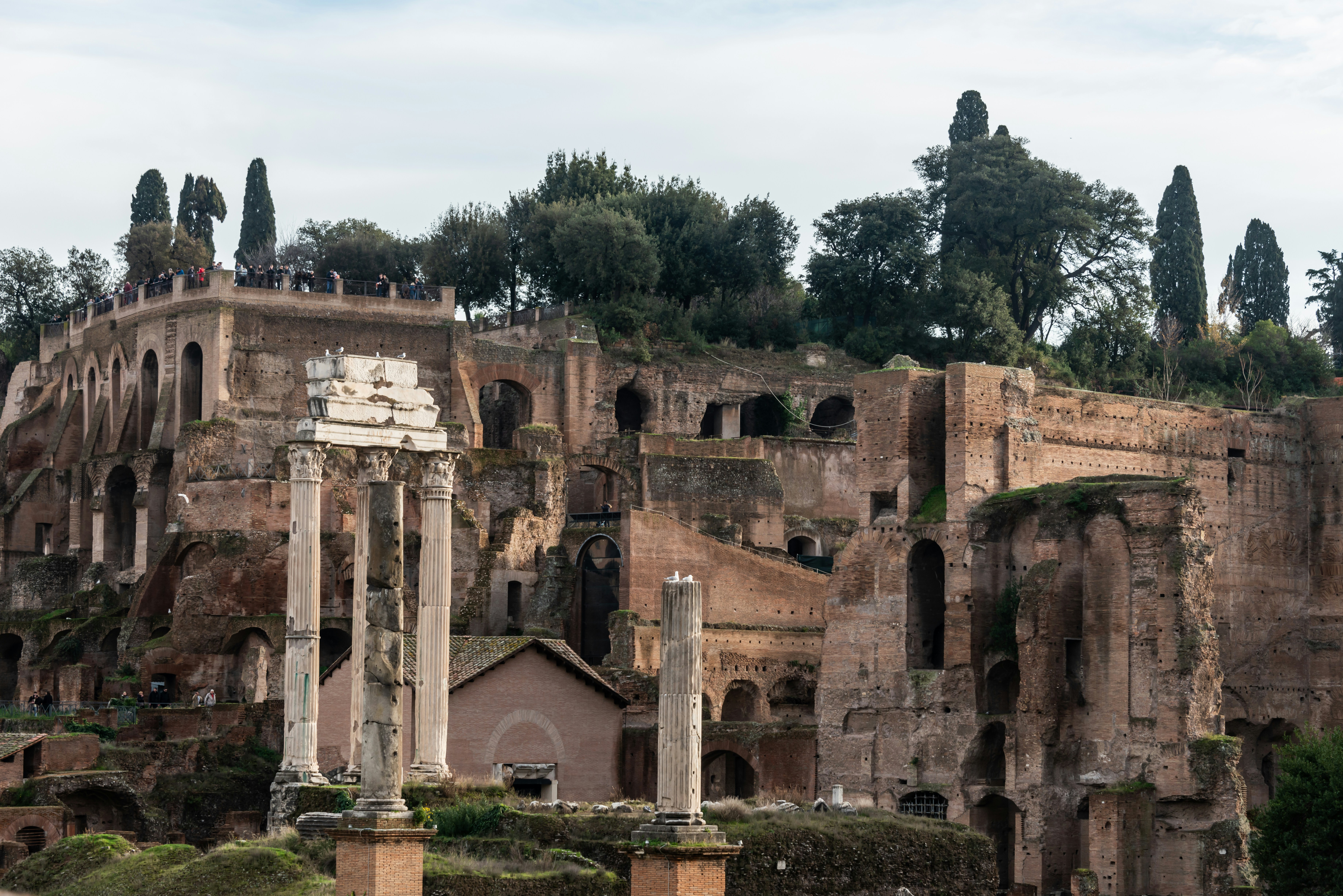Ruins of an ancient Roman coliseum with multiple arches surrounded by tall trees.