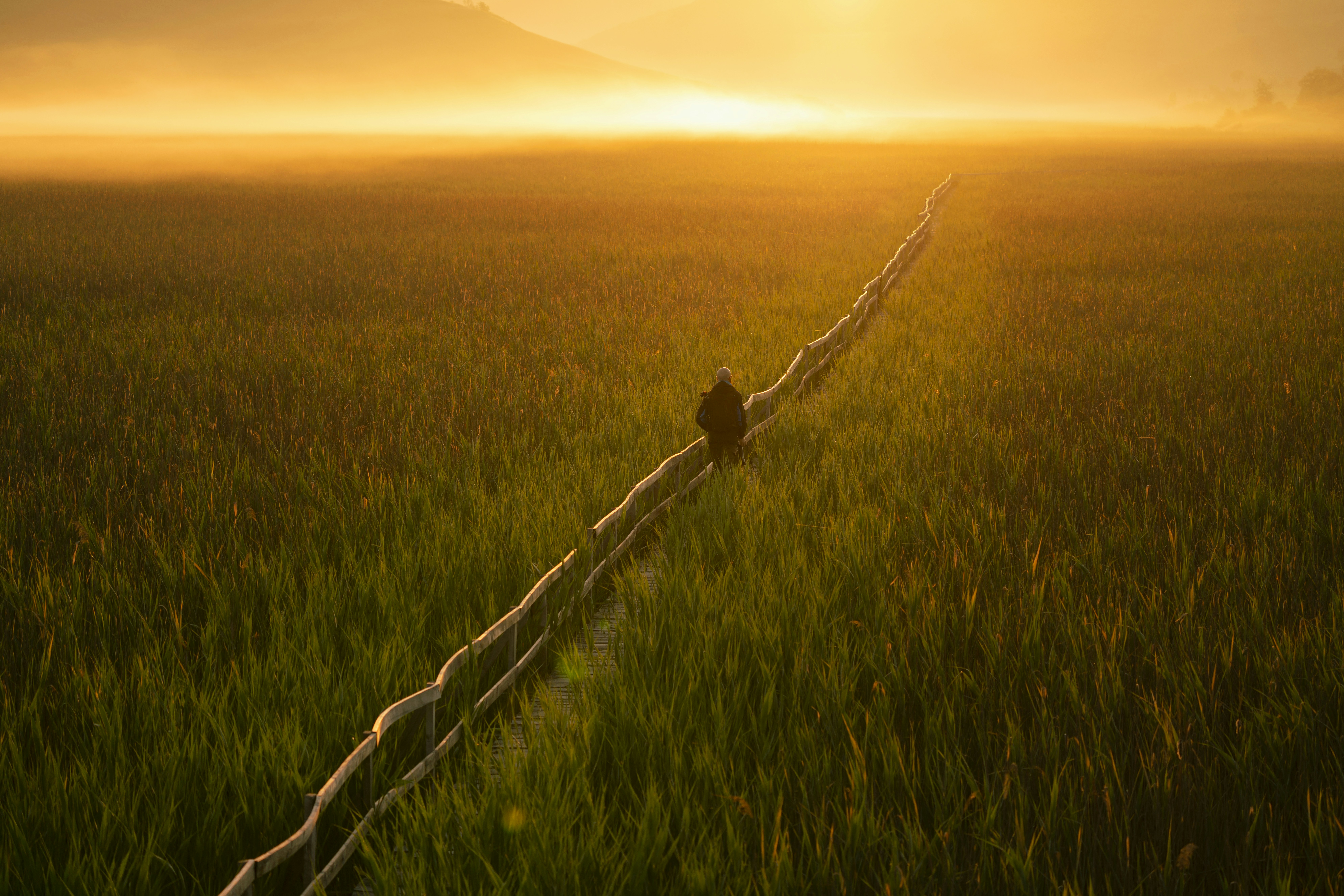Sunlit Fence Through the Grass: A Quiet Field at Golden Hour