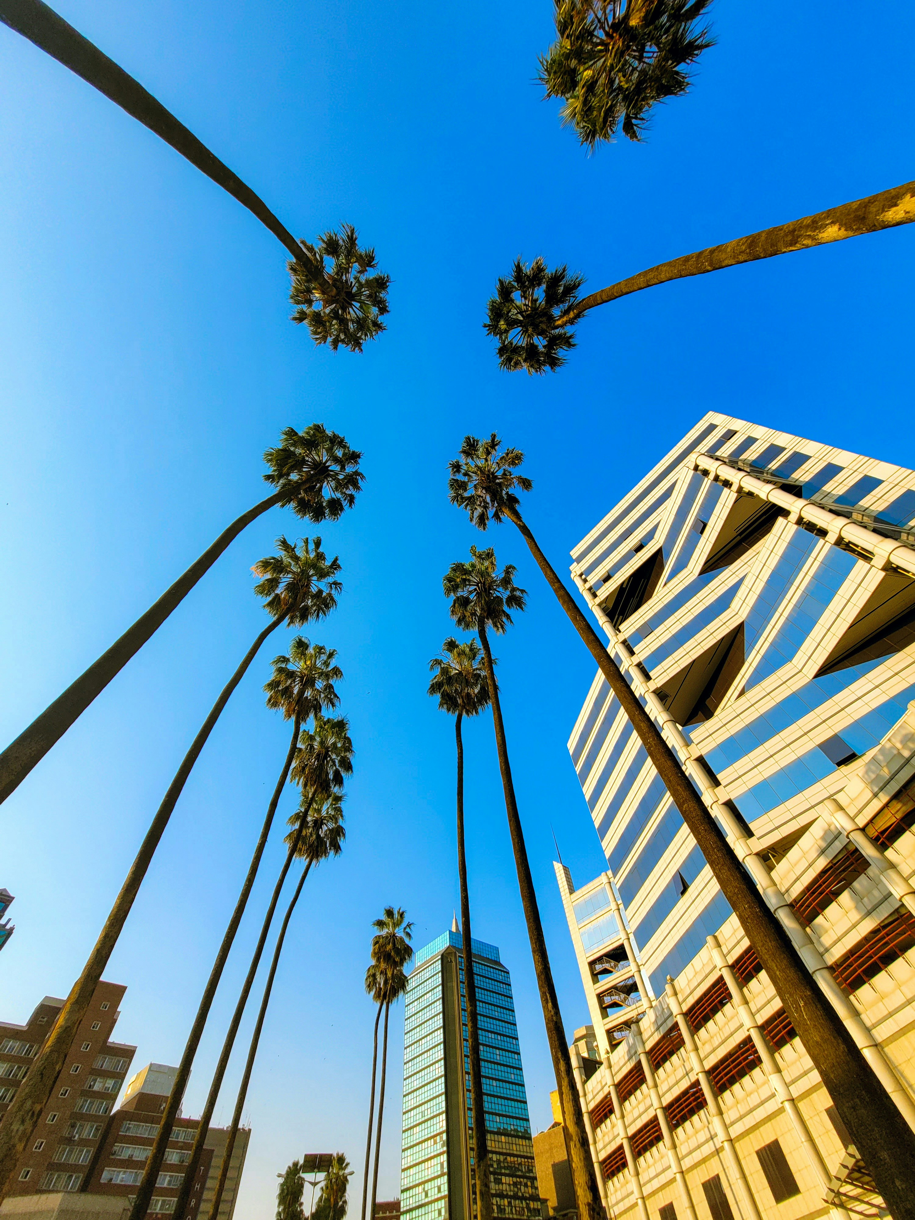 Photo by stan mpakati with Samsung Galaxy S20 FE 5G