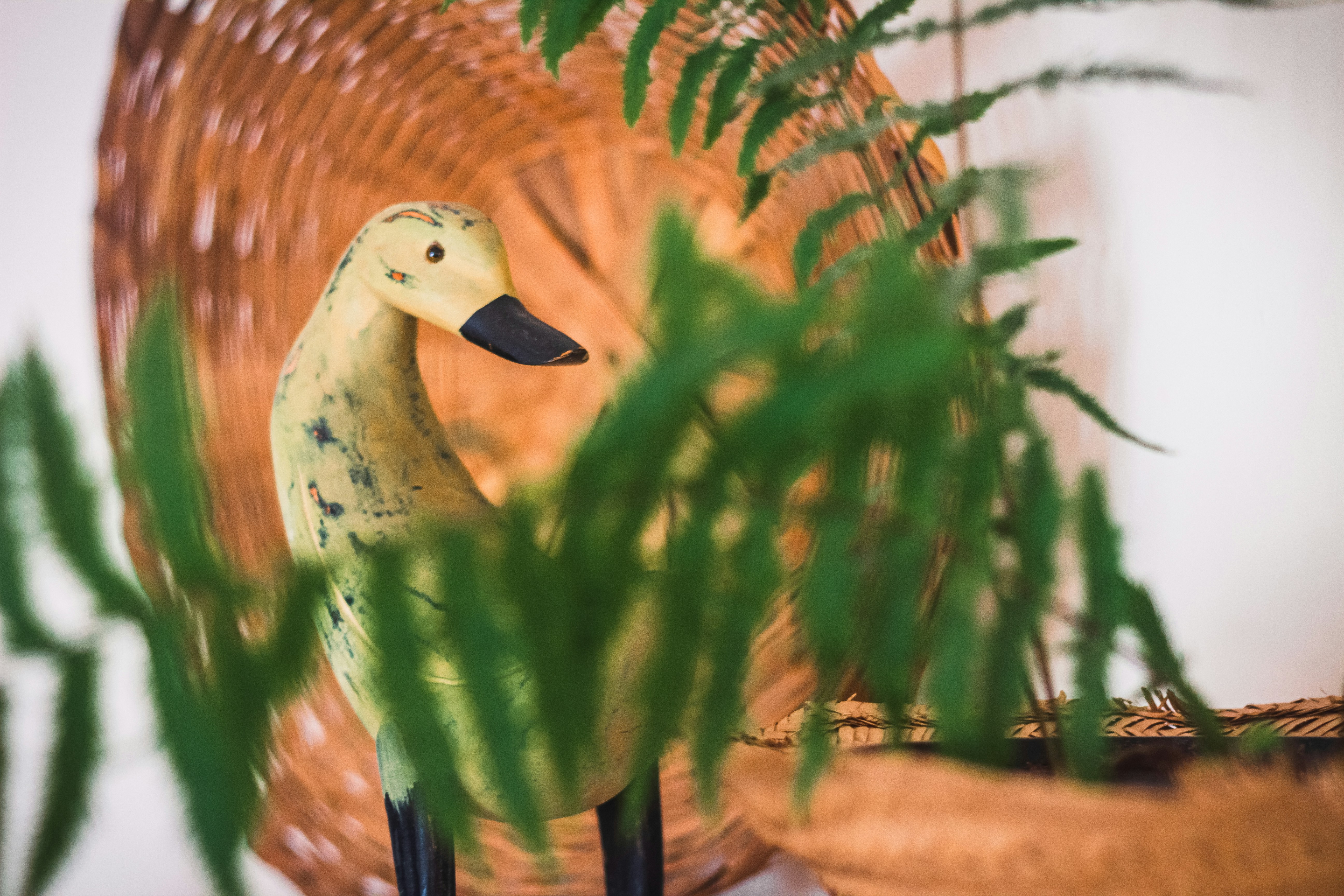 Framed by Ferns: A Duck Figurine Nestled in a Wicker Basket