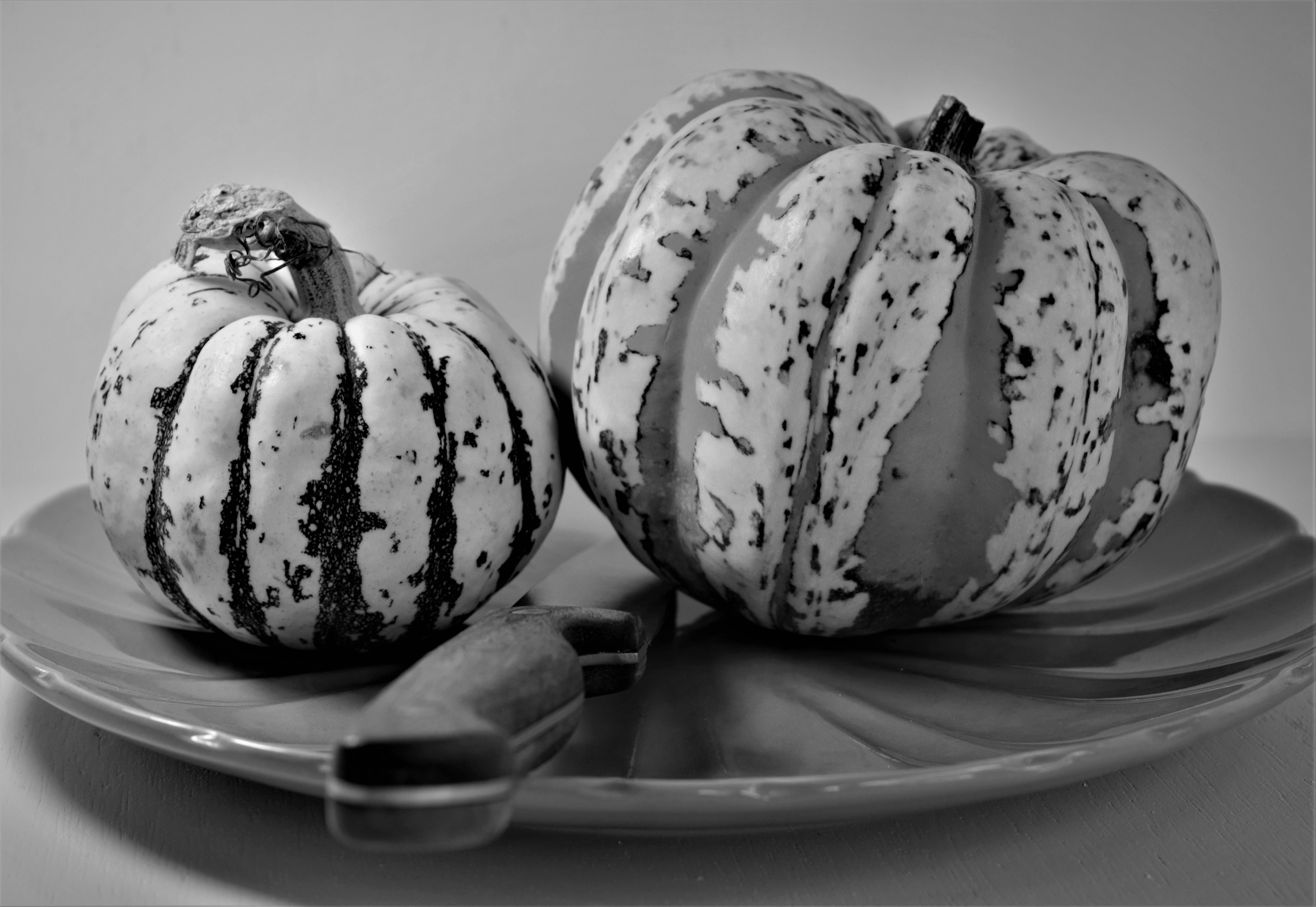 Monochrome Harvest: Twin Variegated Pumpkins on a Plate