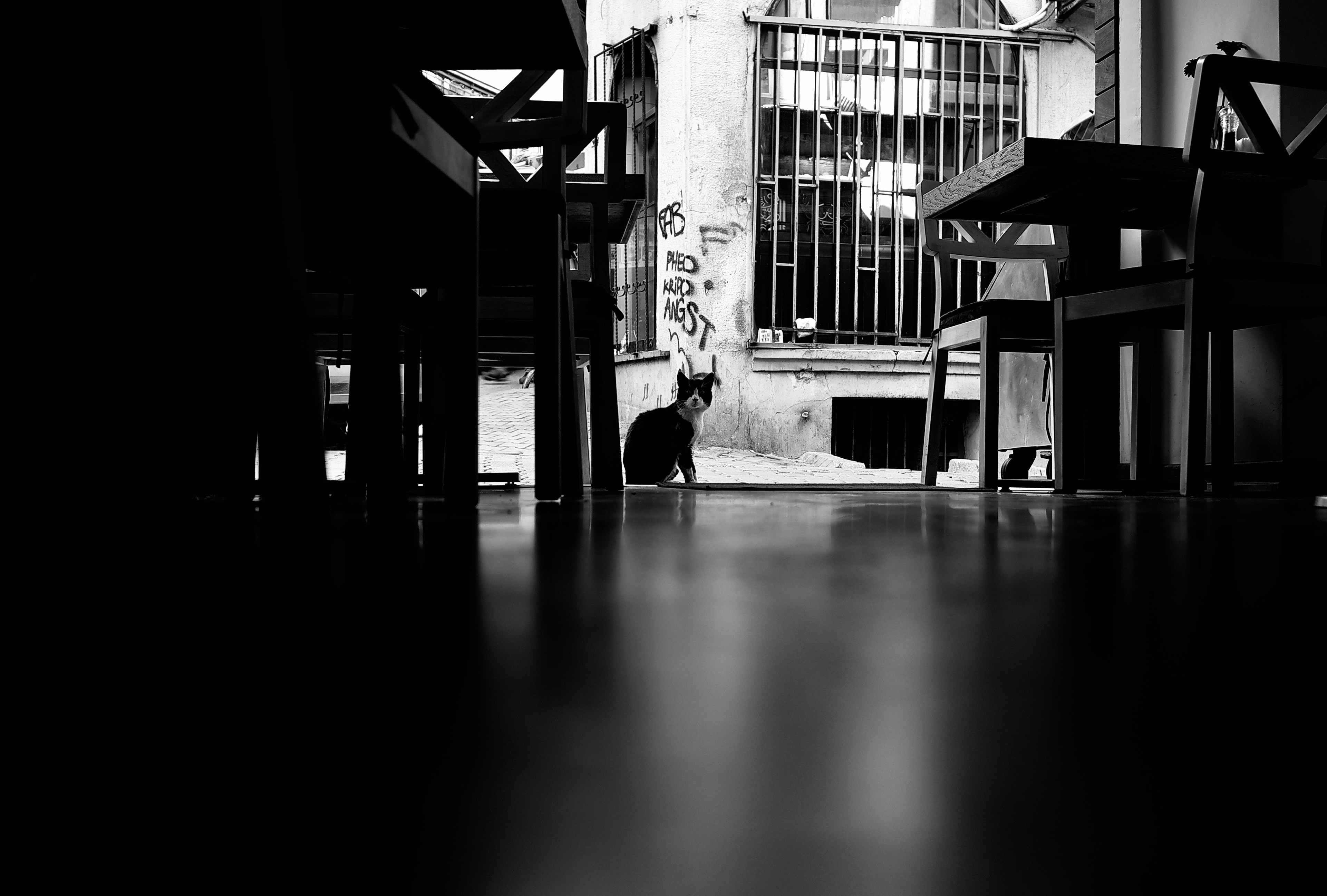 Photo by Gordon Gerard McLean with Leica X1