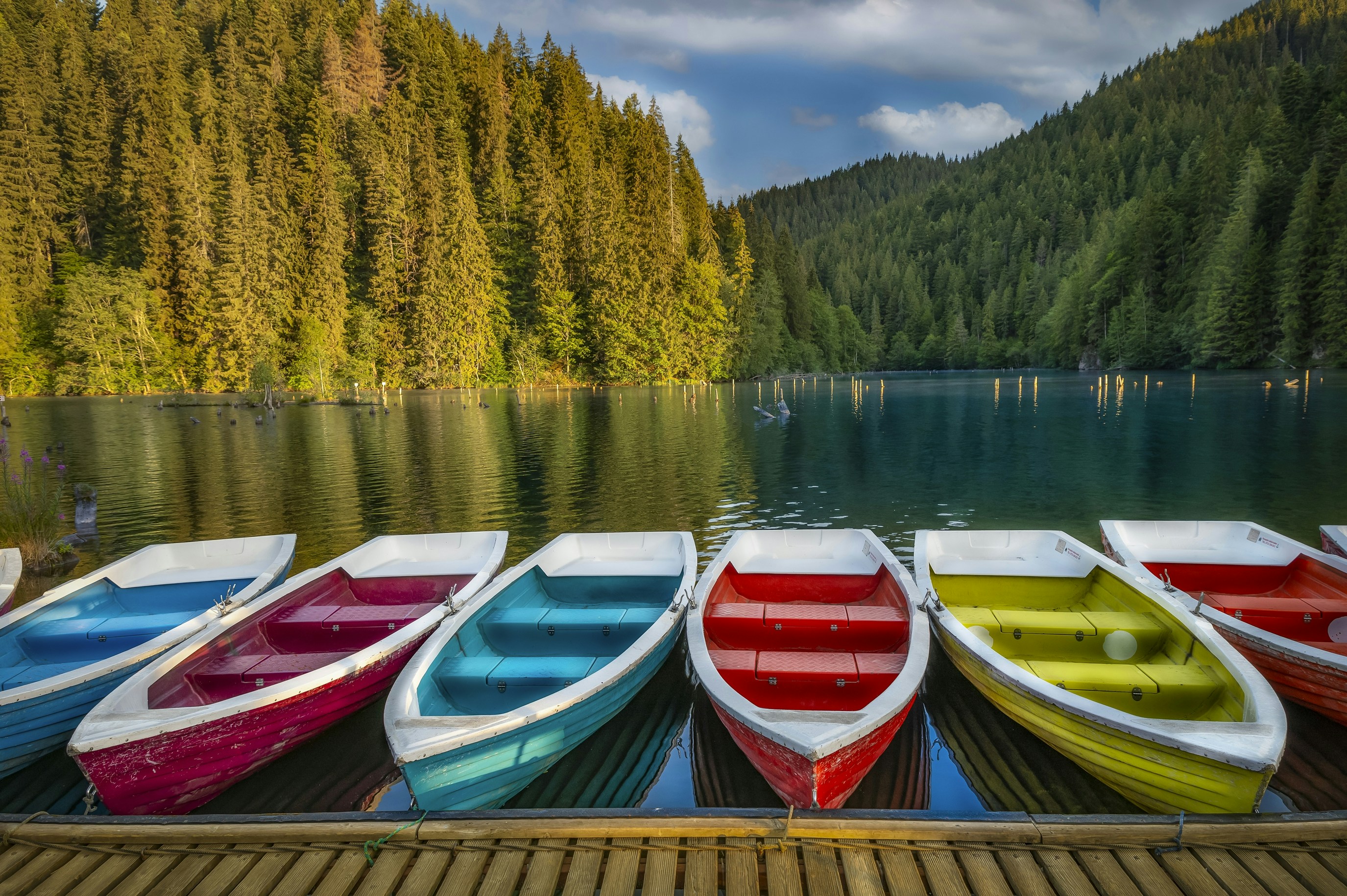 Colorful rowboats lined up on a wooden dock against a backdrop of lush forest and tranquil lake waters.