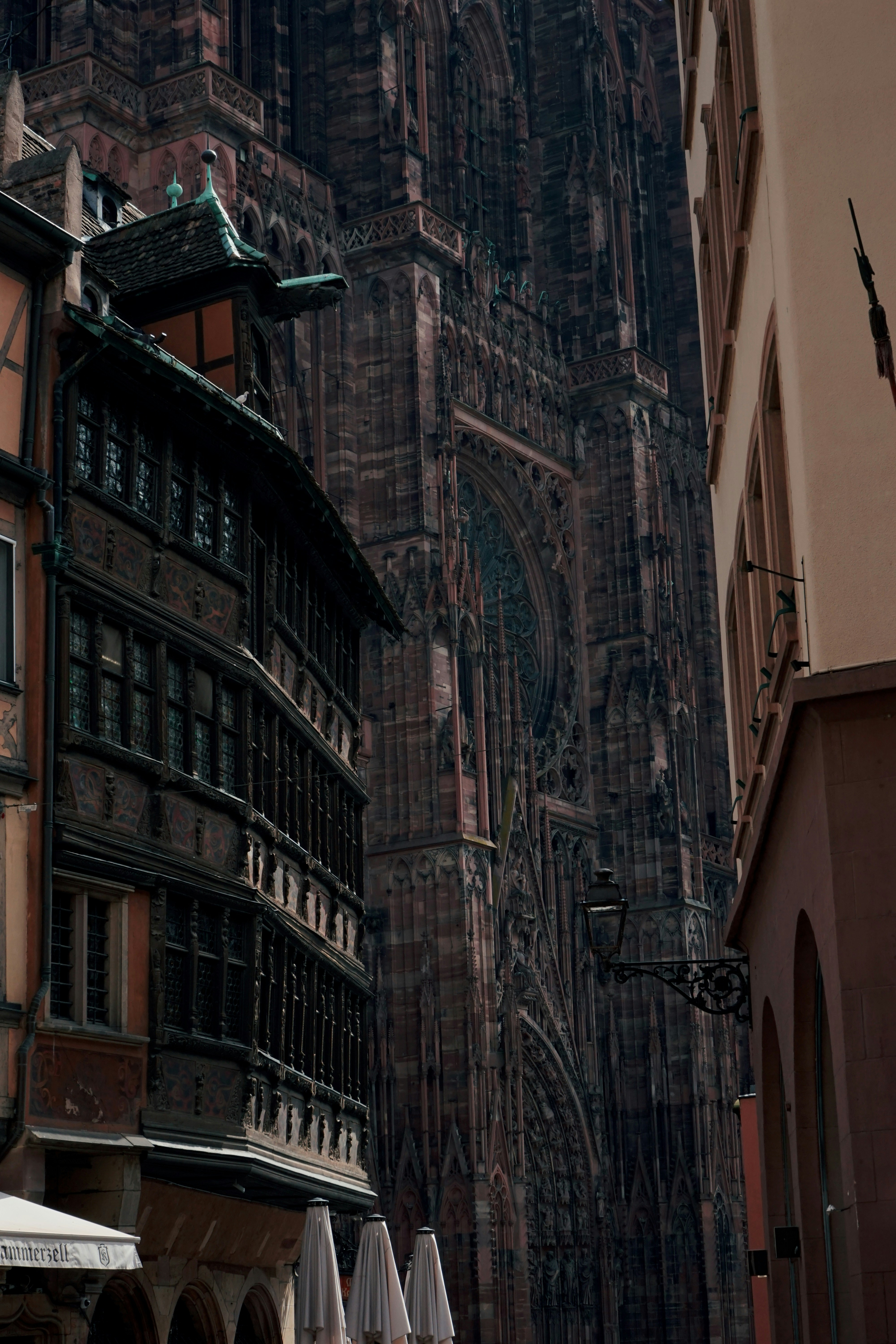 Photo by Olia Bondarenko with Sony Alpha 7 II