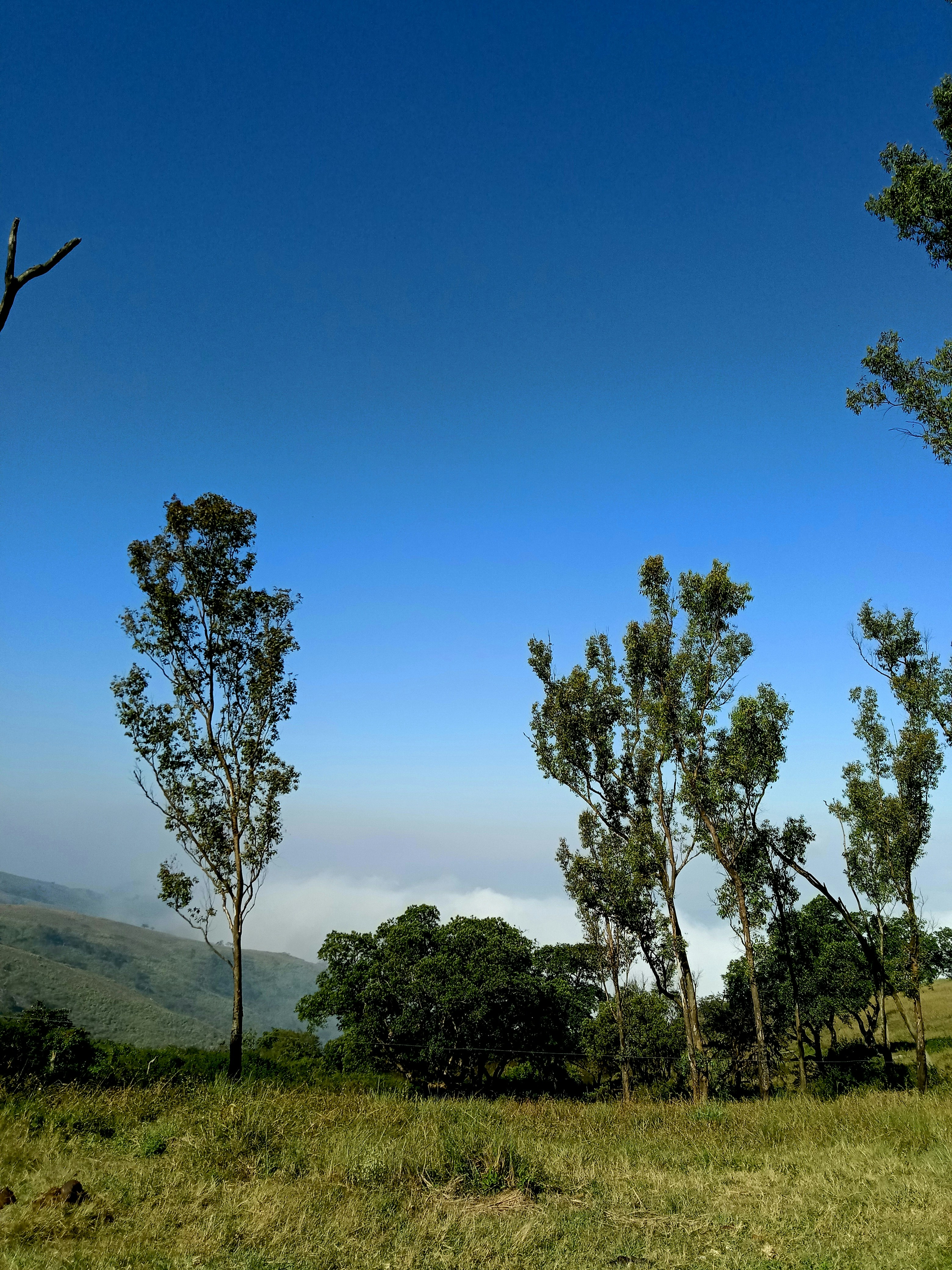 Photo by Dhanu with Vivo Y30