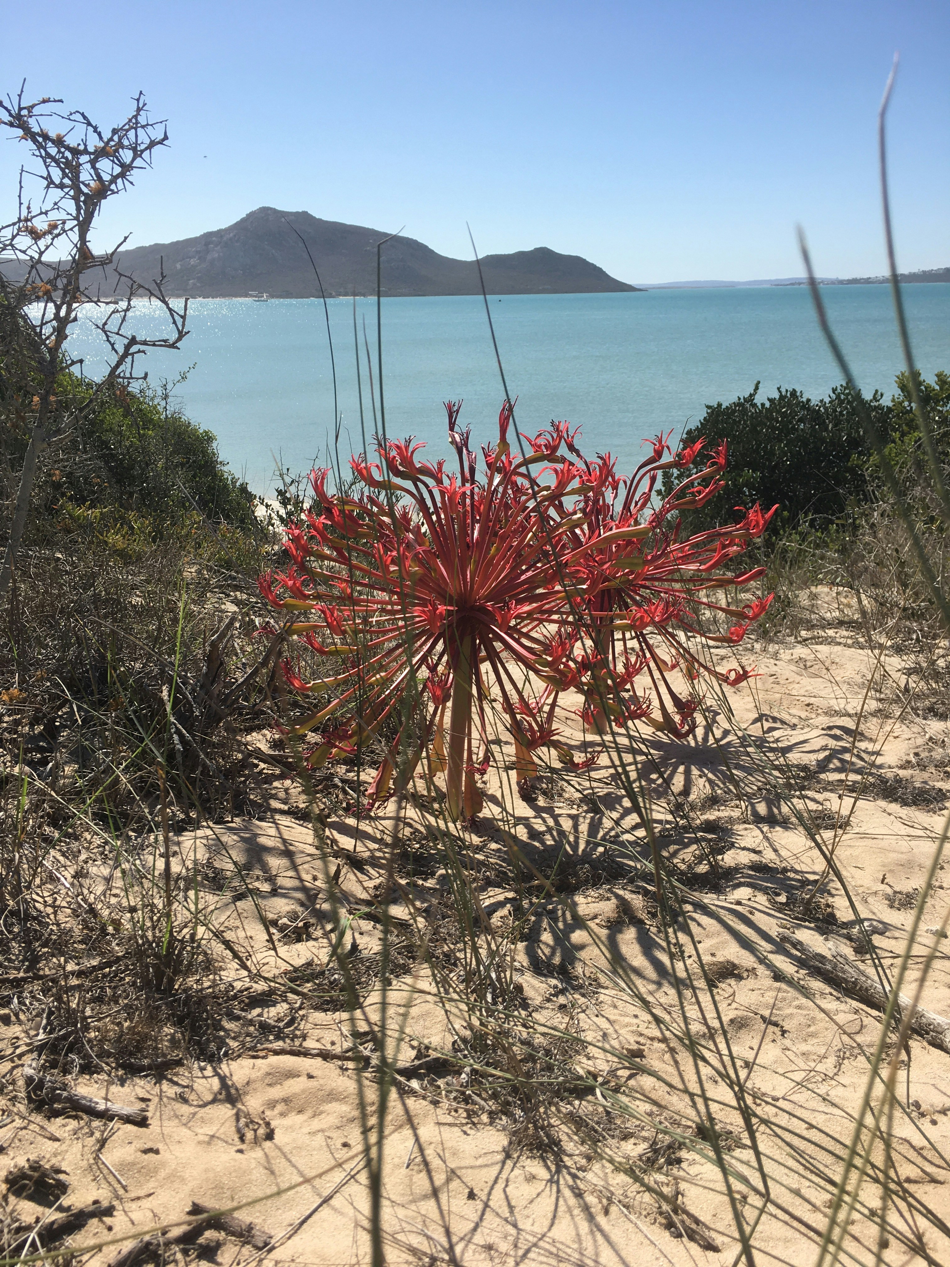 Photo by Tracy Mistry with Apple iPhone 6s