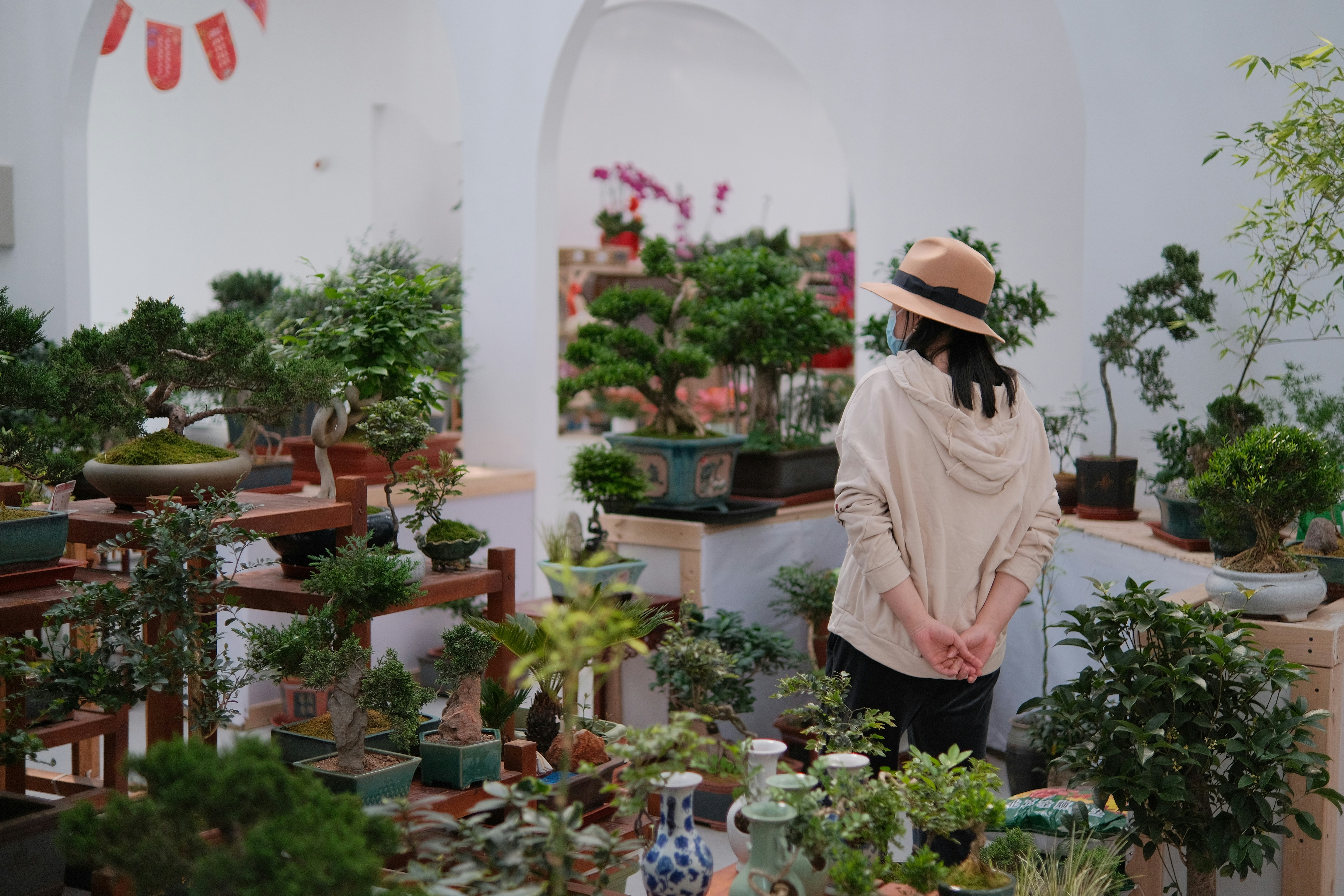 Shaded Curiosity in a Bonsai Conservatory