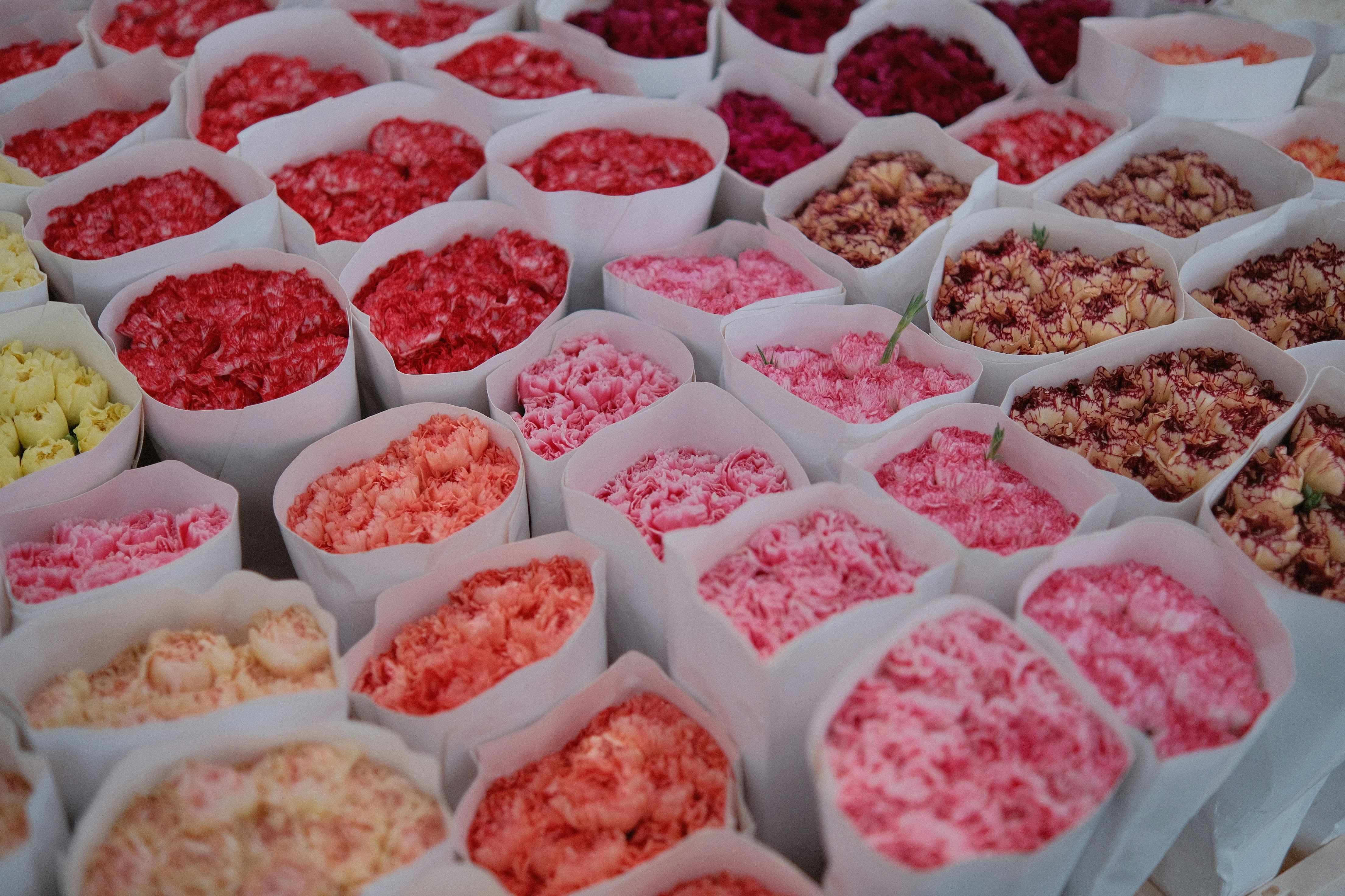 a group of food in plastic containers