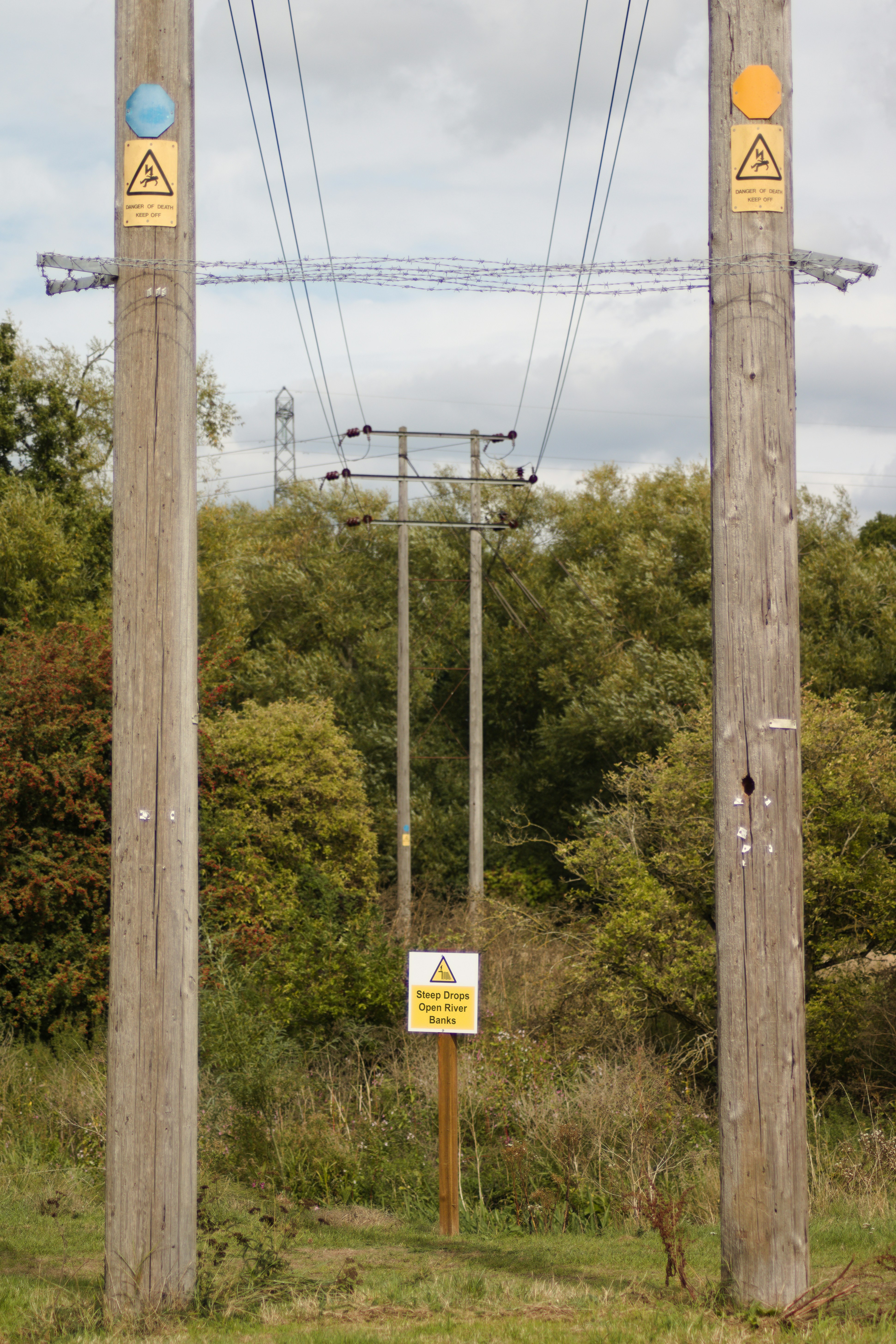 a telephone pole with signs on it