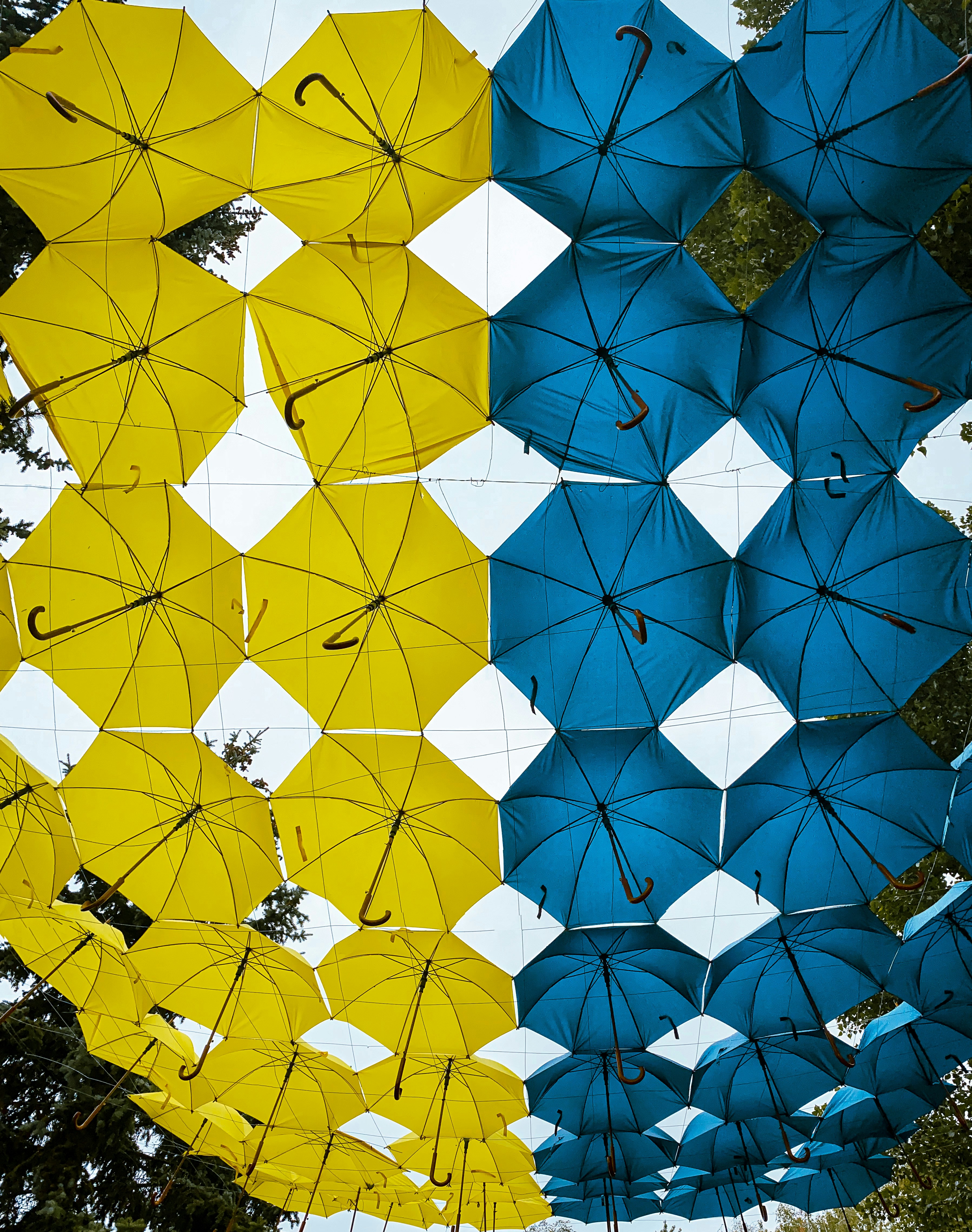 Kaleidoscope Canopy: Yellow and Blue Umbrella Mosaic