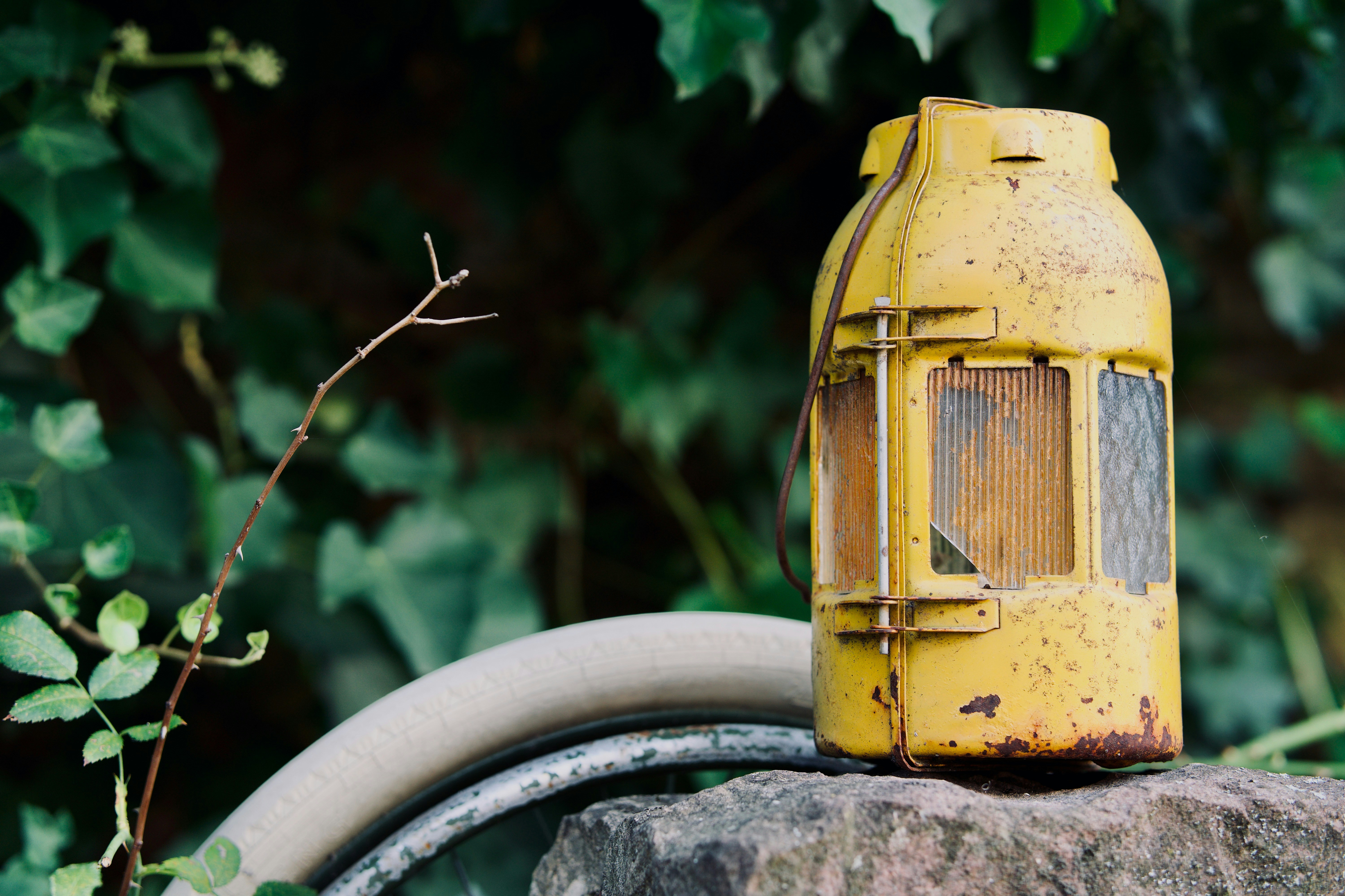 Weathered Yellow Jerrycan Resting on a Stone Amid Green Foliage