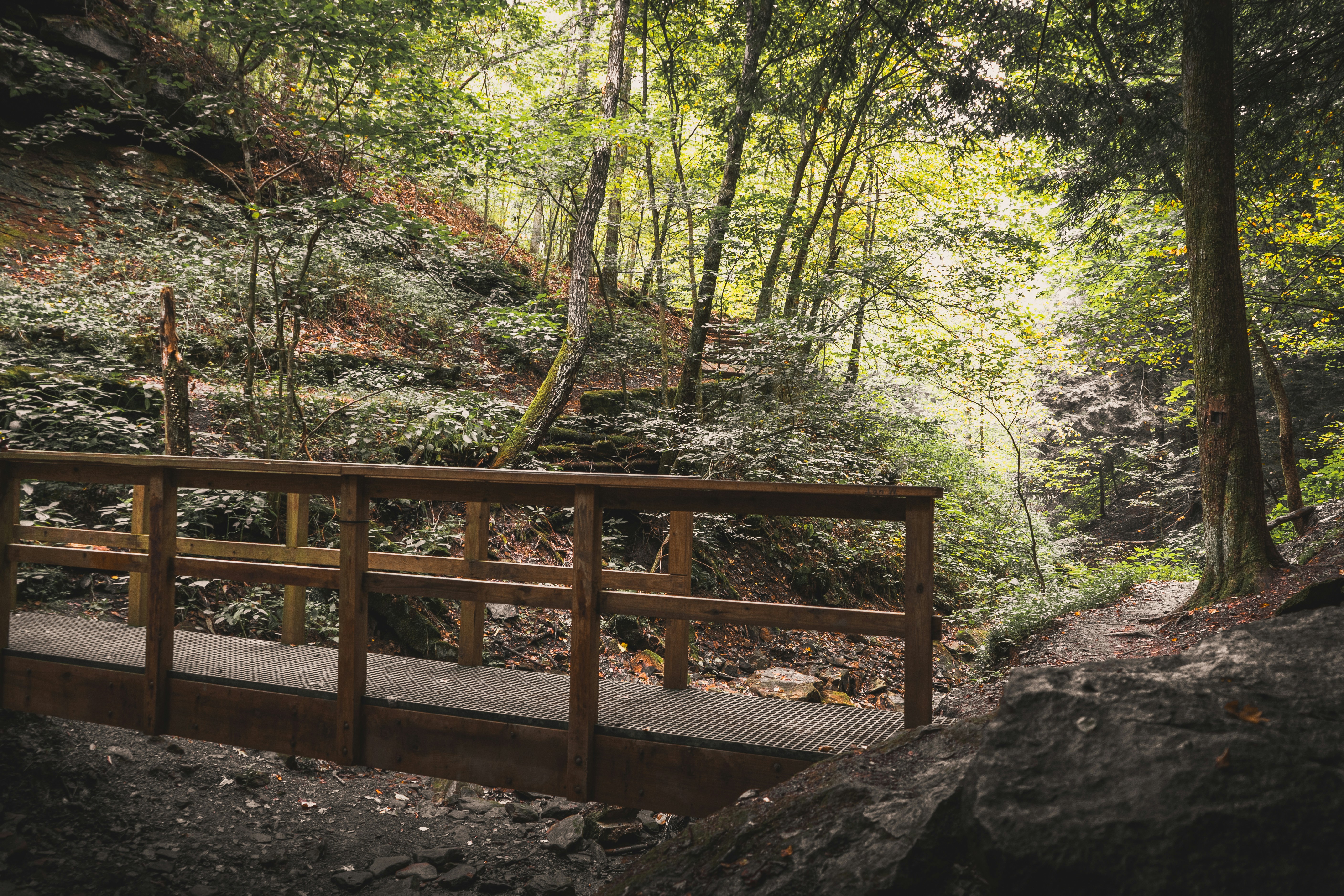 Michael Lawrence (@aurlaw) | Unsplash Photo Community