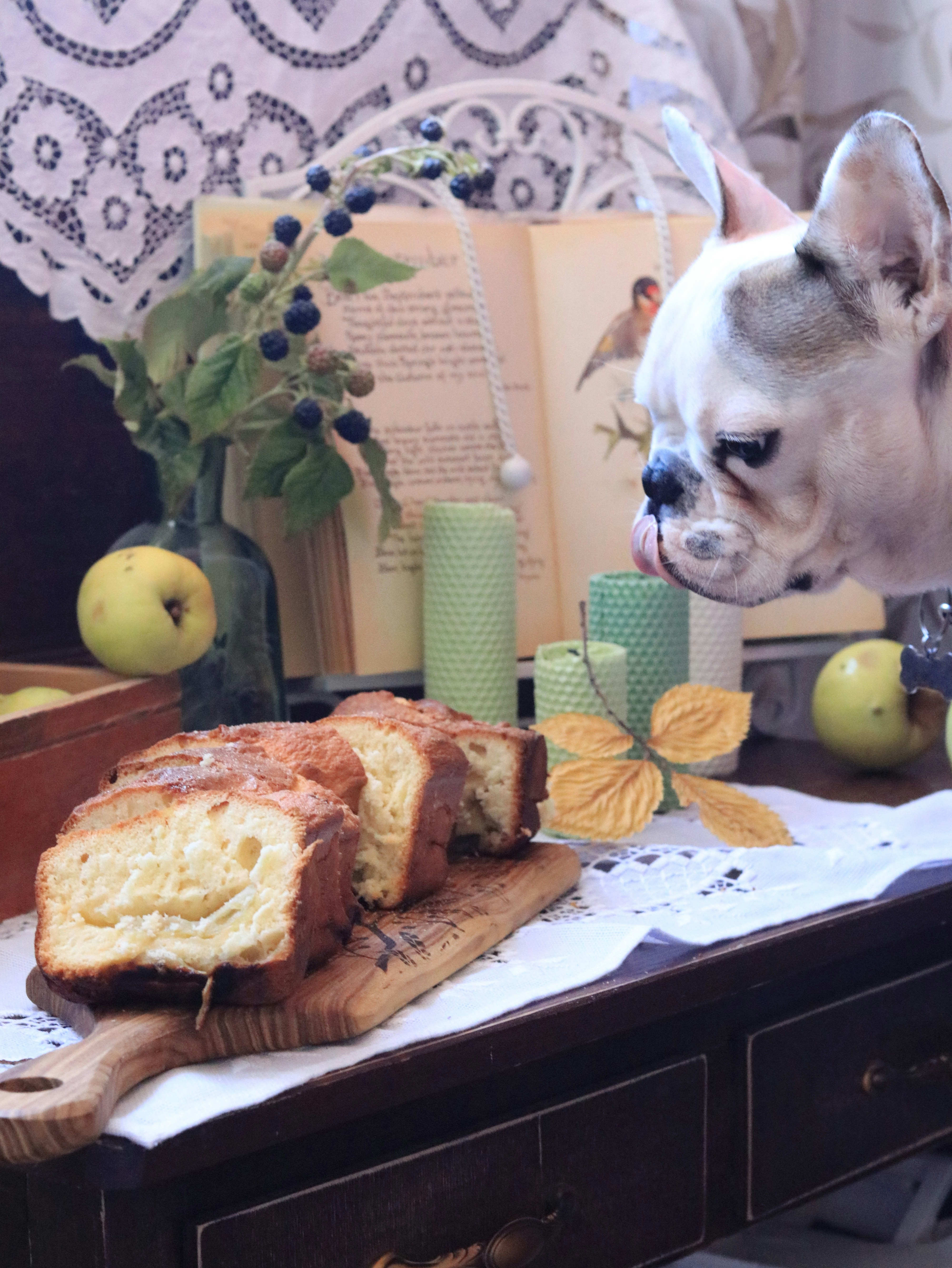 Curious Bulldog at the Rustic Table: A Slice of Vintage Still-Life