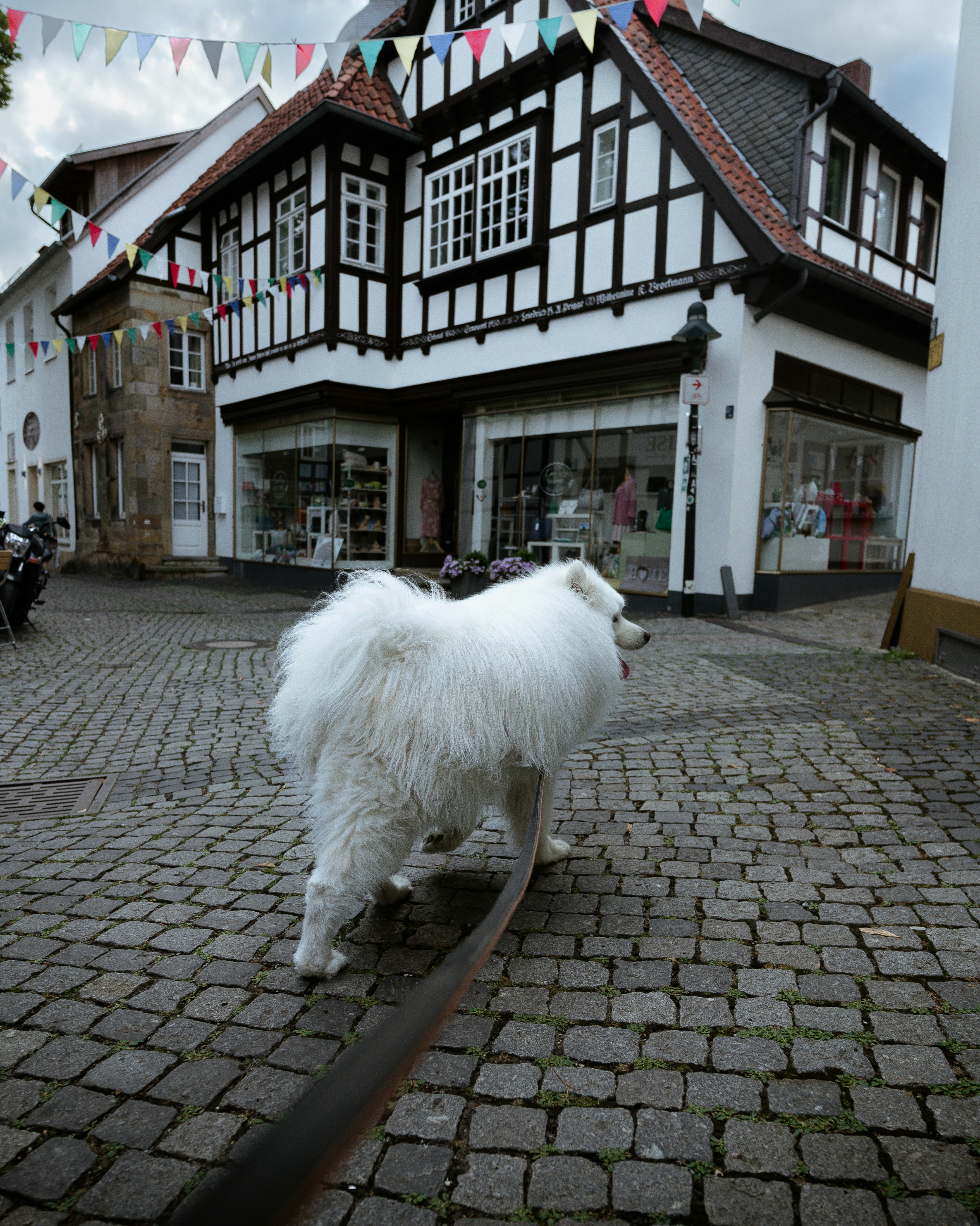 I appreciate the support! instagram: @atlas.alexa
https://www.instagram.com/atlas.alexa/