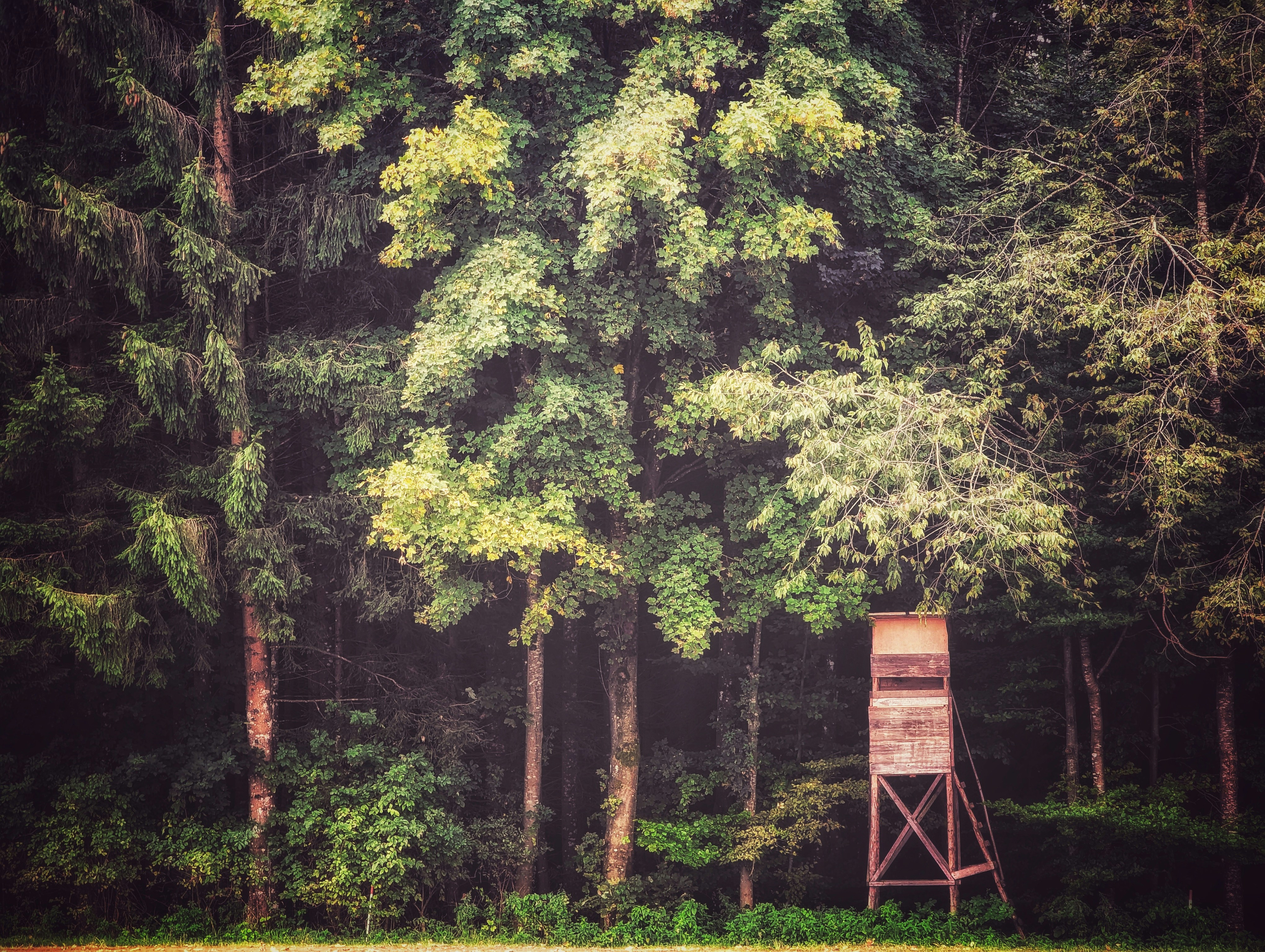 Human Intervention vs. Intervention - What's the Difference? | This vs ...