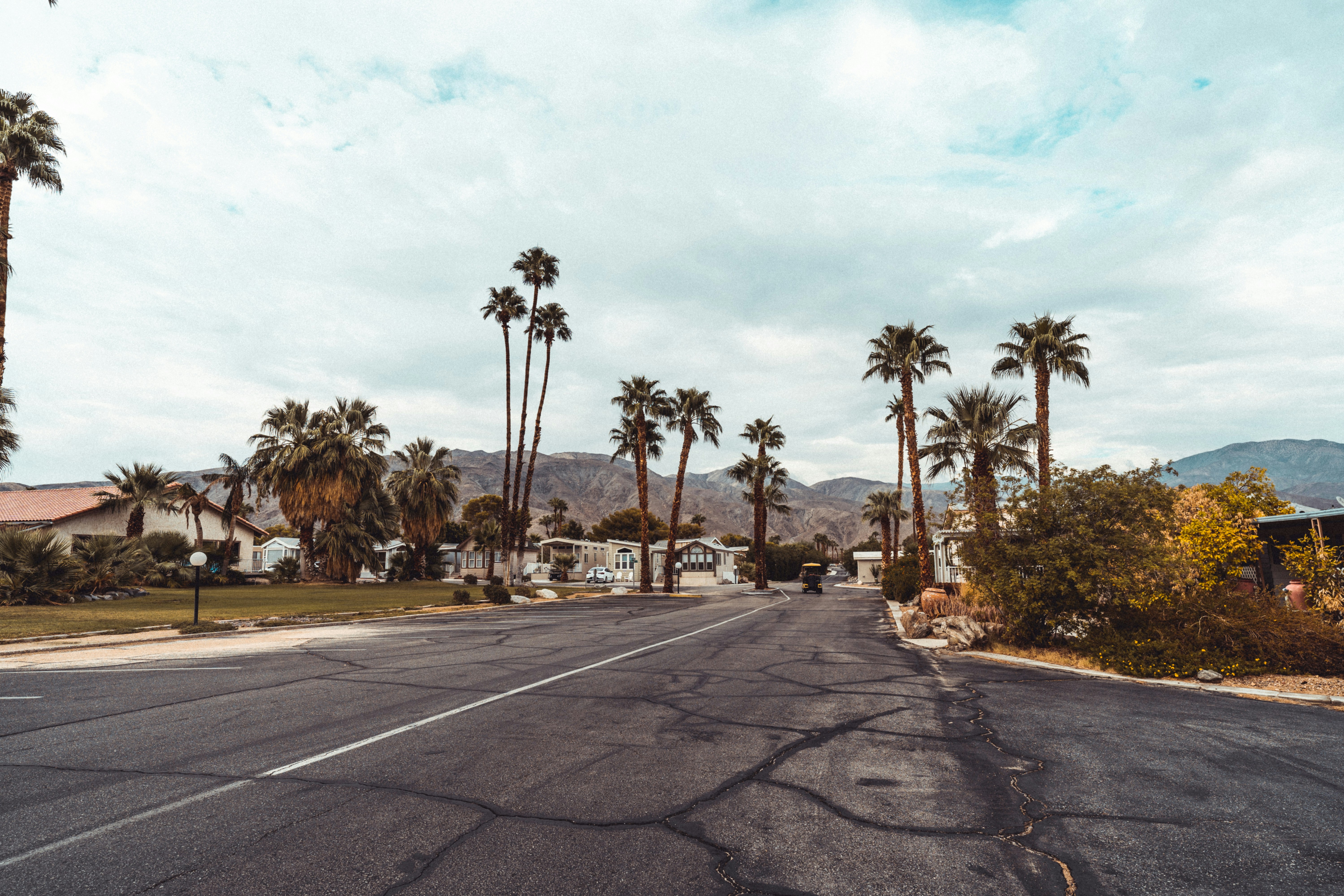 Palm trees line a quiet street leading to a serene desert landscape, with distant mountains creating a tranquil backdrop.