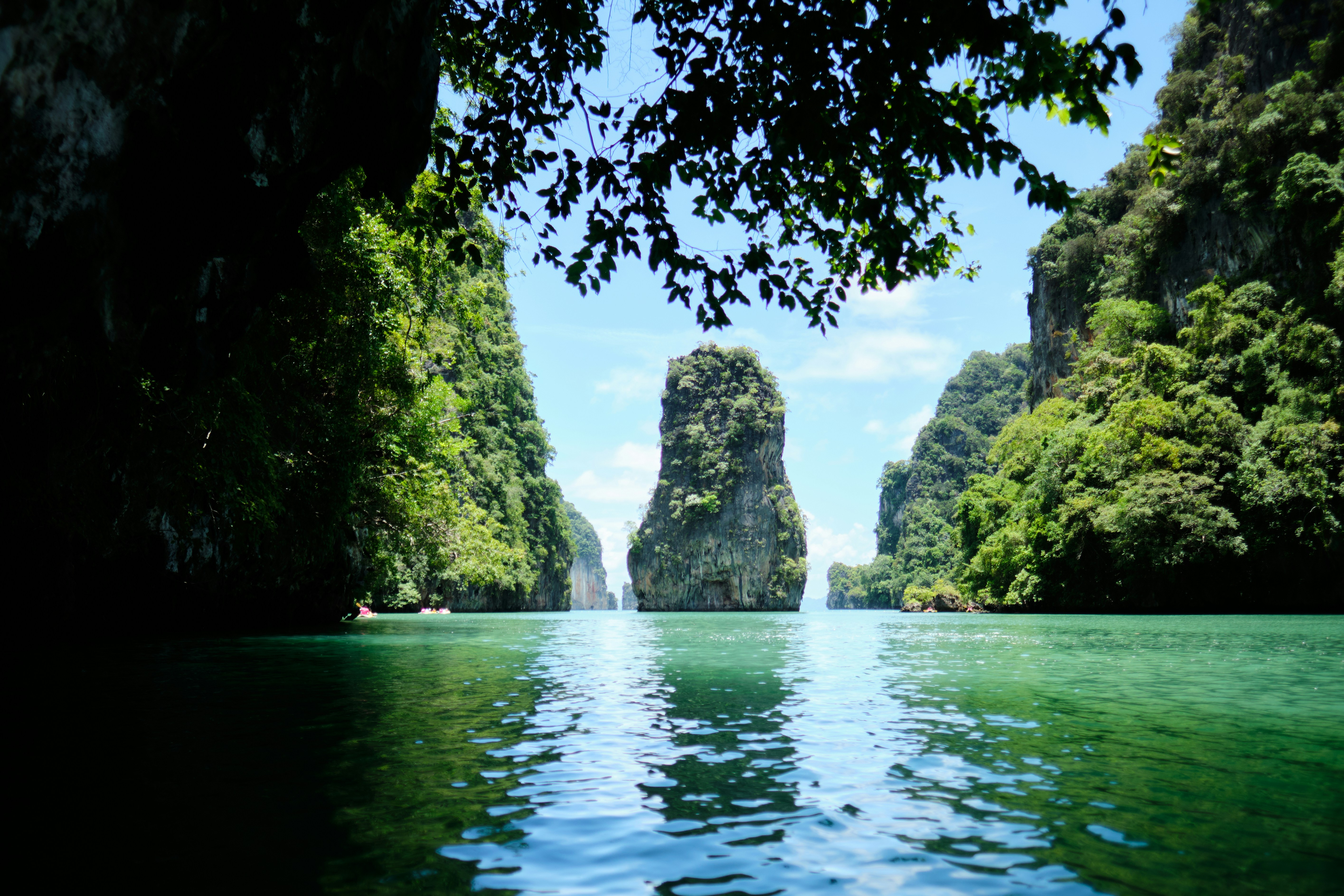 a body of water with trees around it