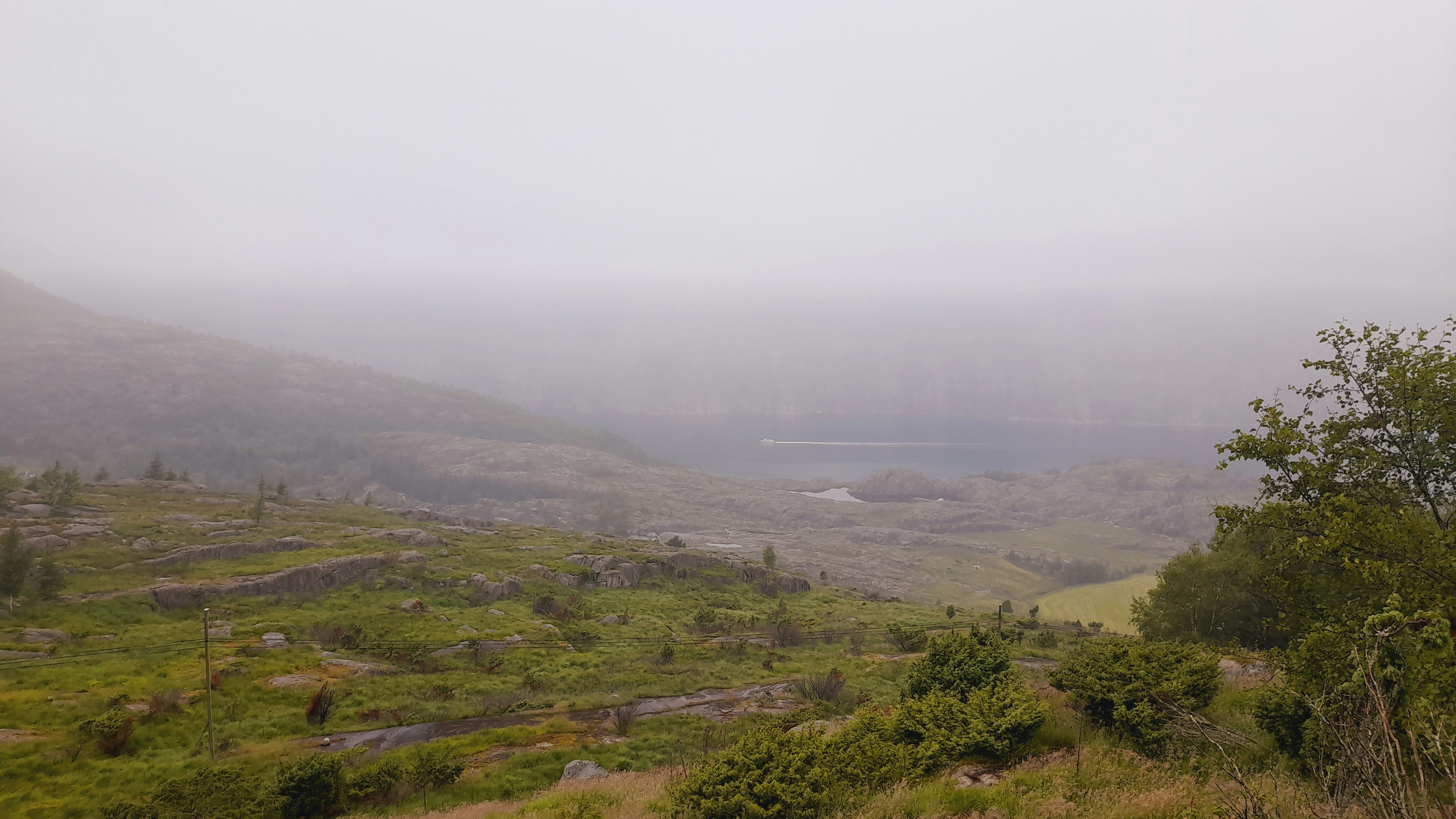 Photo by Facer ● with Samsung Galaxy A12