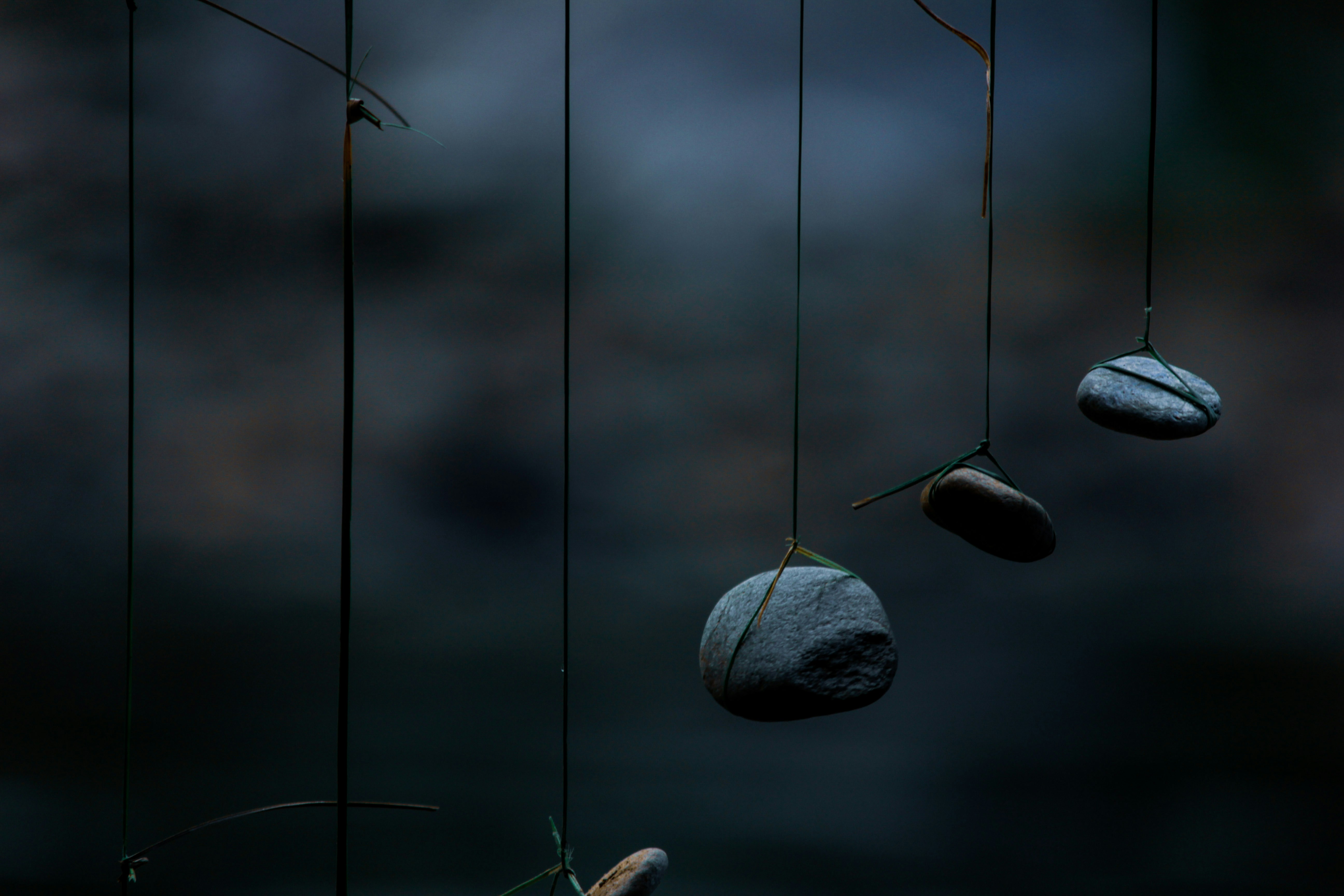 A few round objects from a string photo – Free Nature background Image ...