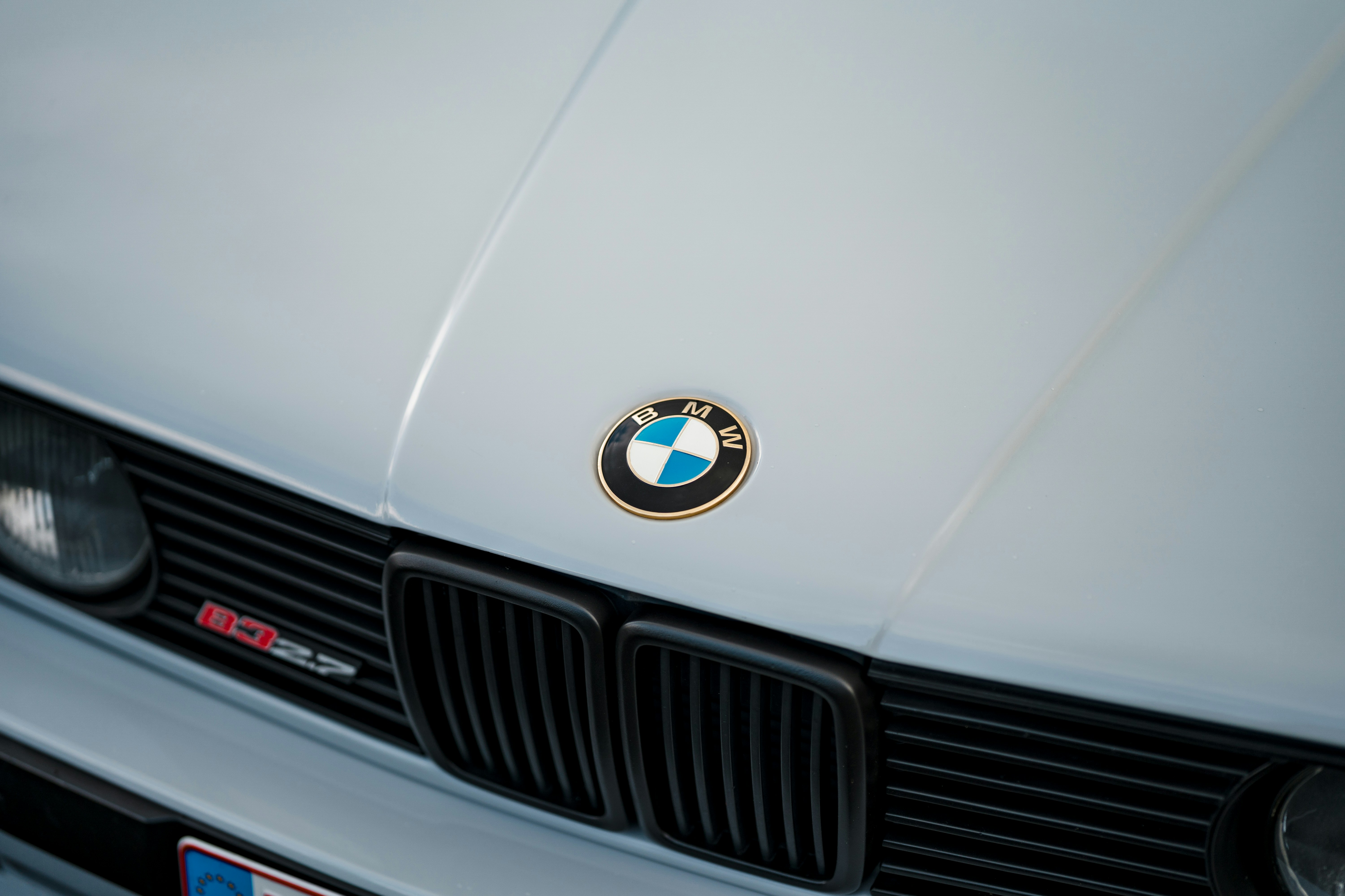 Classic Elegance on the BMW Hood