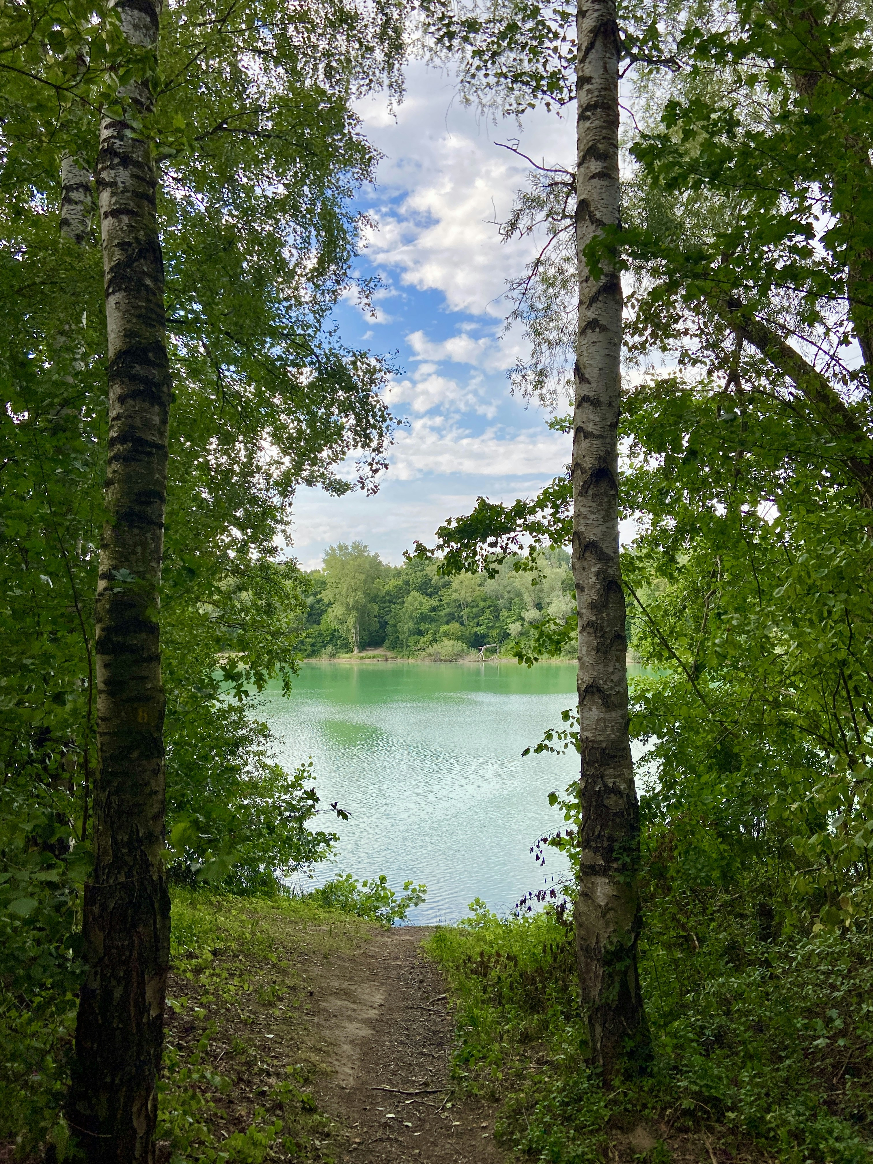 Margit H. (@rosenfrau) | Unsplash 사진 커뮤니티