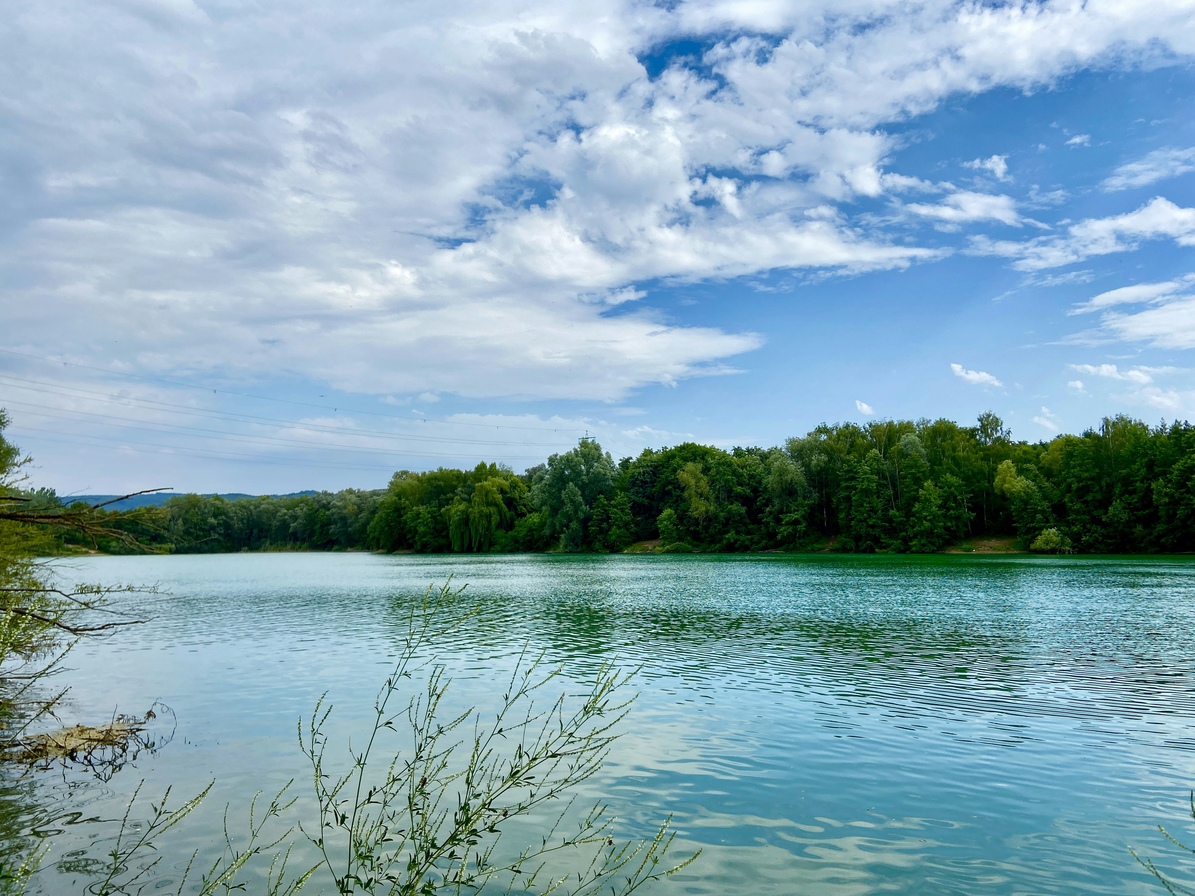 Margit H. (@rosenfrau) | Unsplashフォトコミュニティ