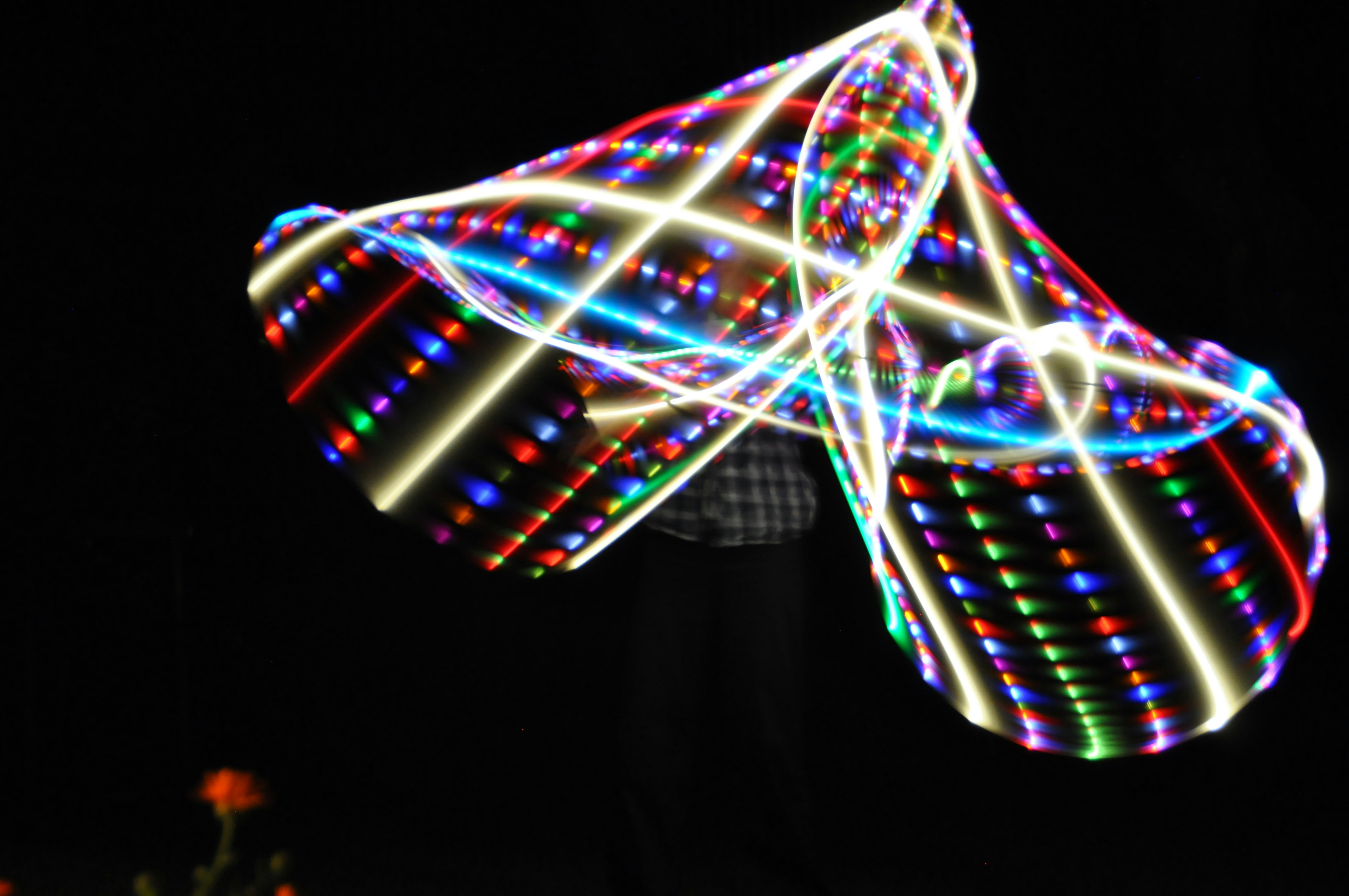 Margit H. (@rosenfrau) | Unsplashフォトコミュニティ