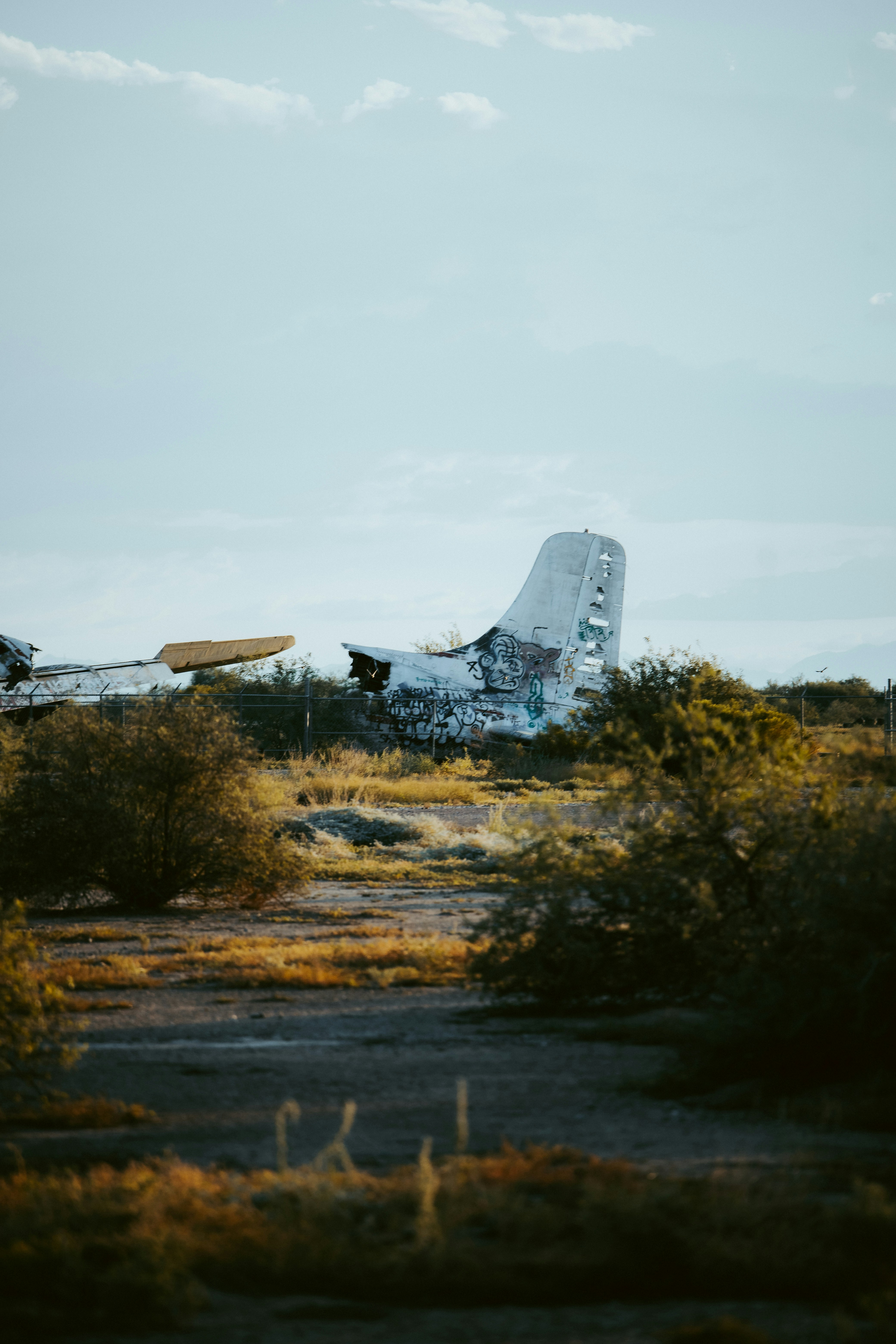 Abandoned Wings: Deserted Jet Remnant Rising from Low Scrub