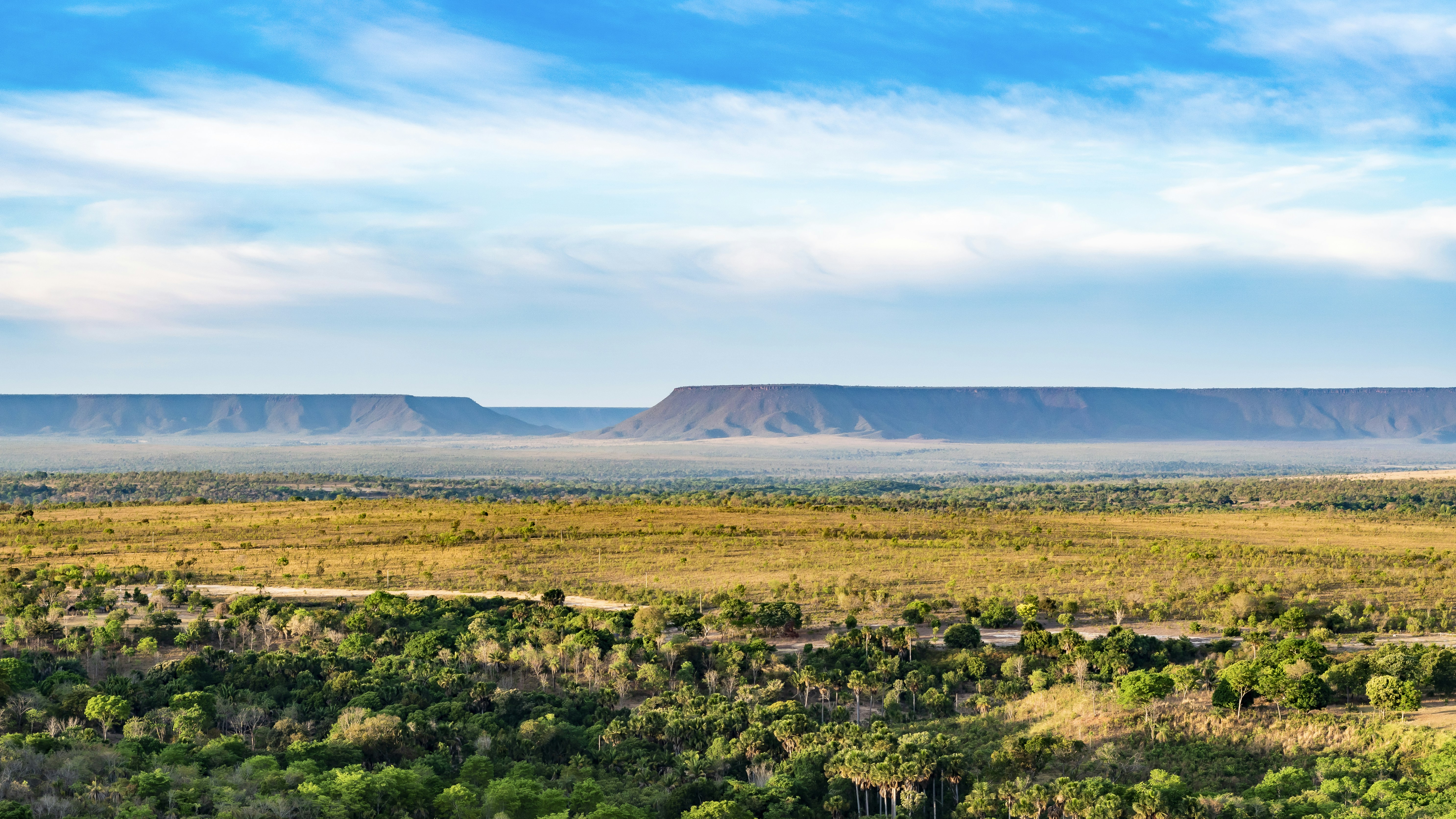 Expansive savanna landscape with distant plateaus under a vivid blue sky.