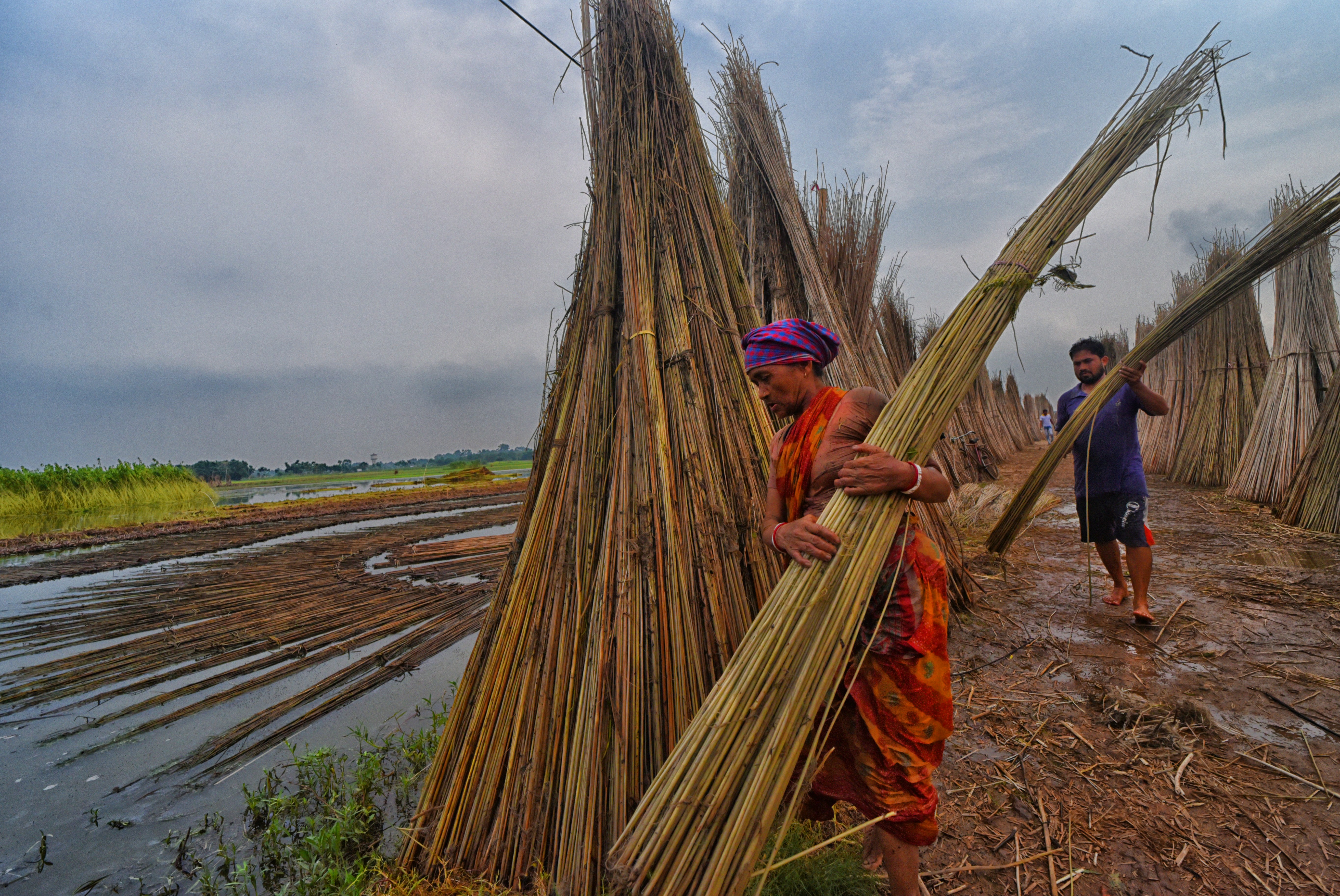 A group of people carrying sticks photo – Free West bengal Image on ...