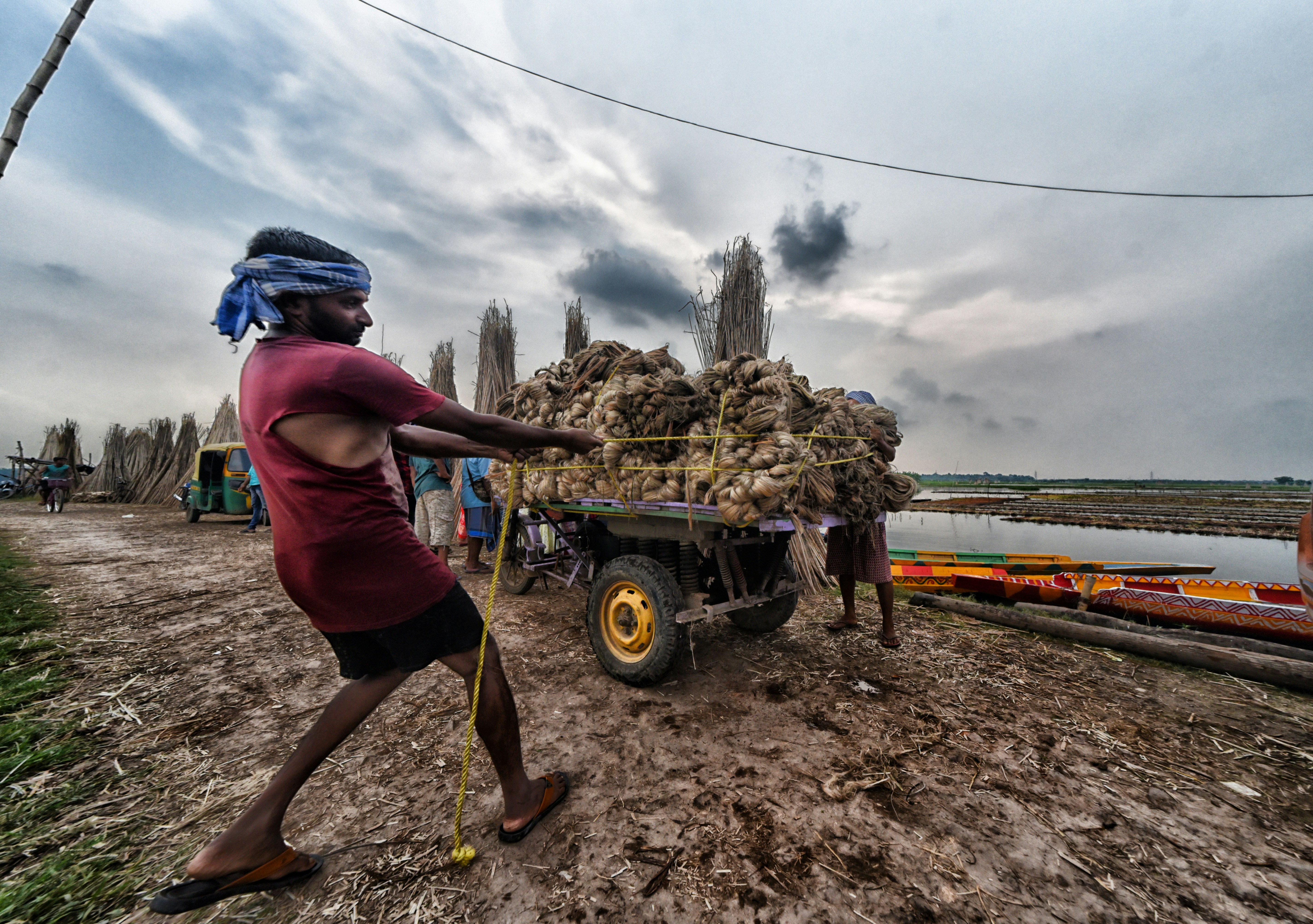 Toward the Tide: The Load of Coconuts in Motion